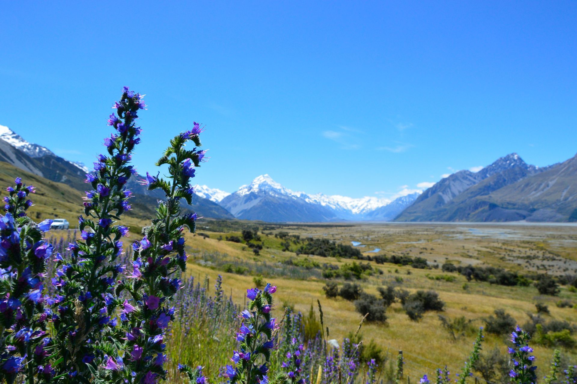 Marieluise Schneider | WeRoad