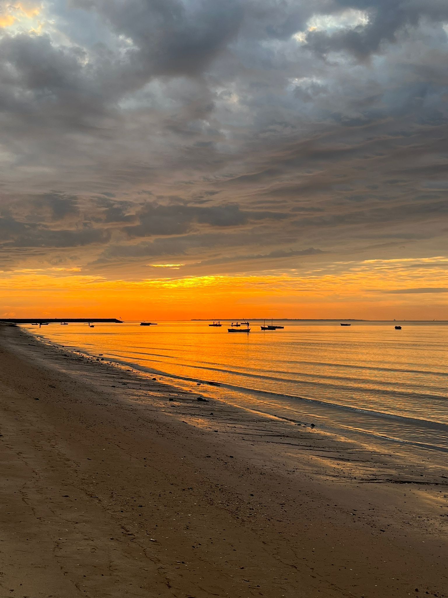 Elena Allara | WeRoad