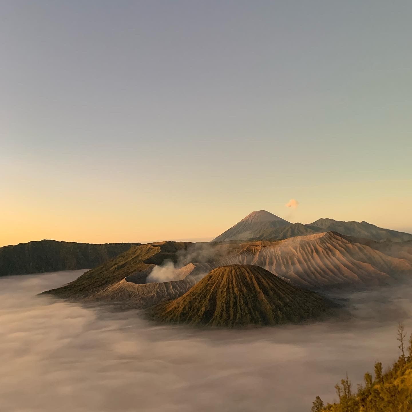 Giulia Bernasconi | WeRoad