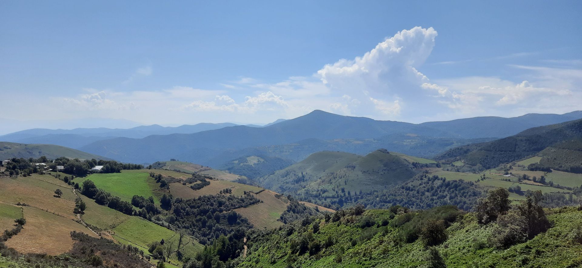 Federico Simonetto | WeRoad