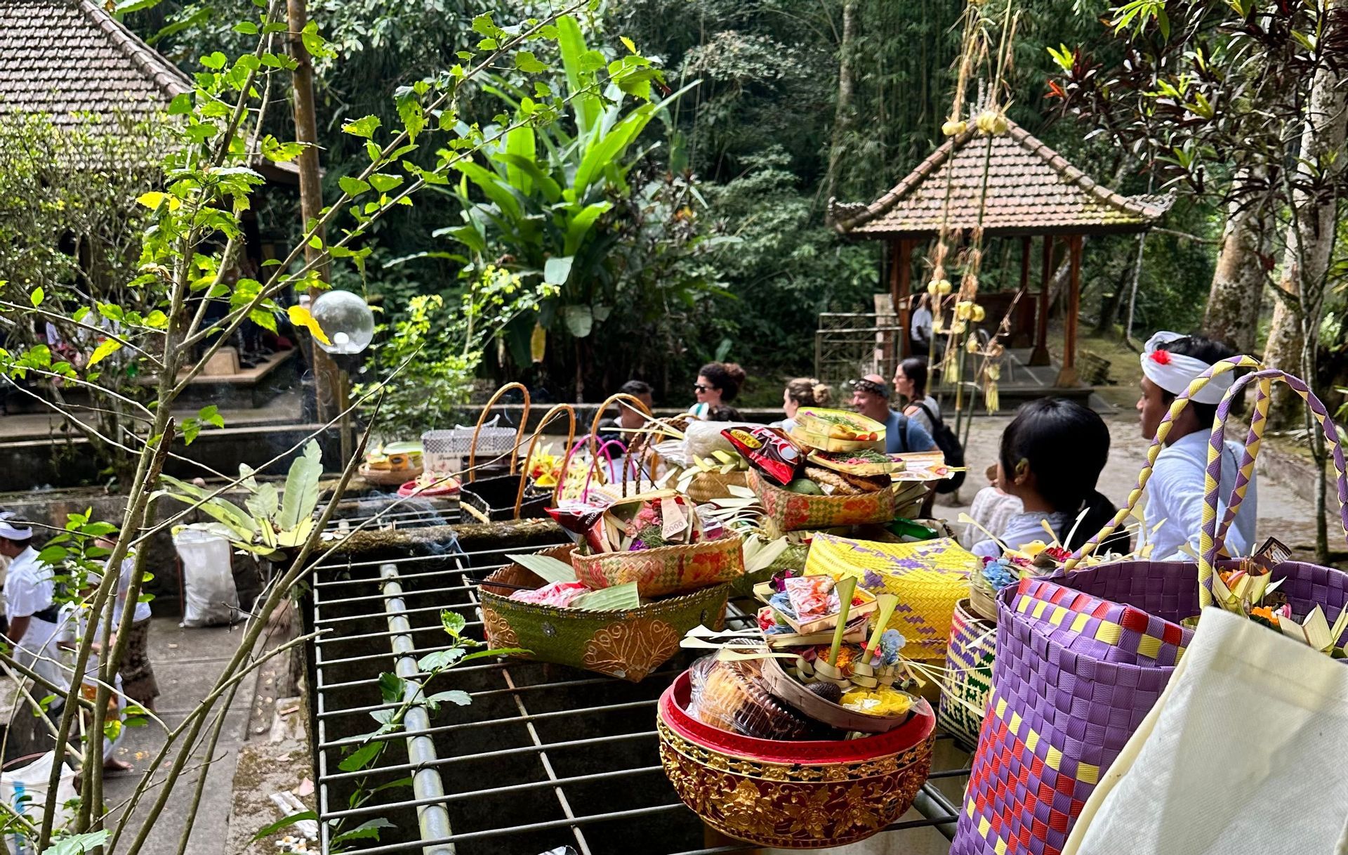 Alessandra Rizzi | WeRoad