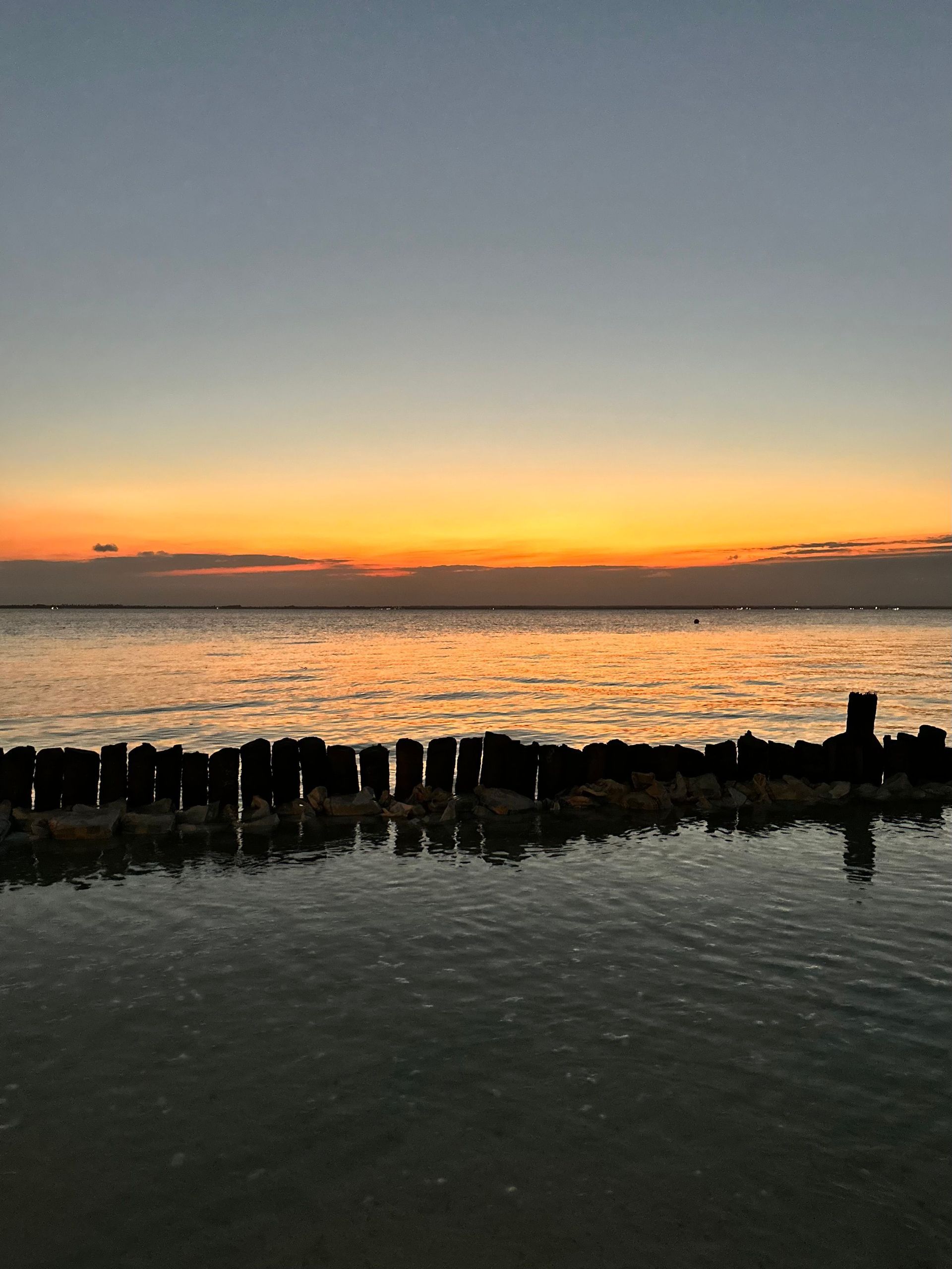 Federico Conforti | WeRoad