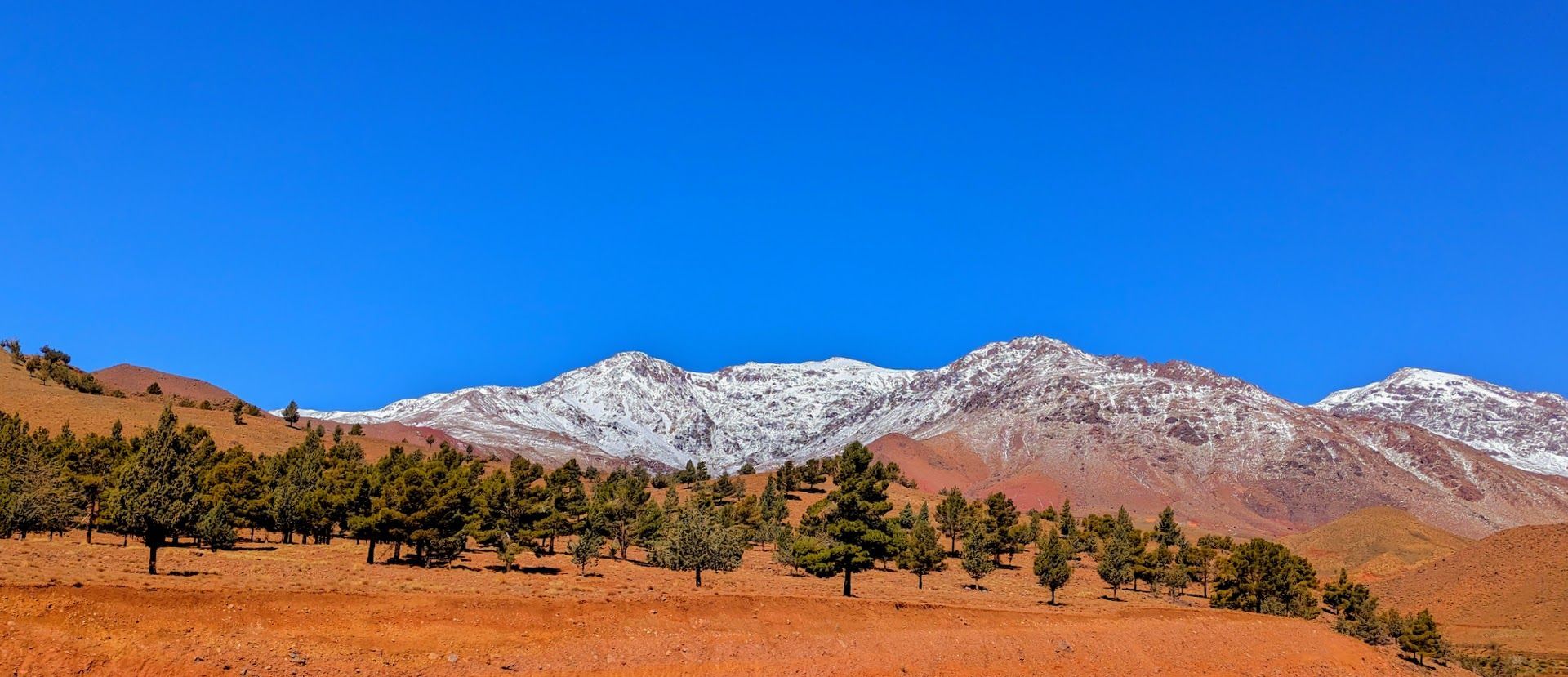 David Malika | WeRoad