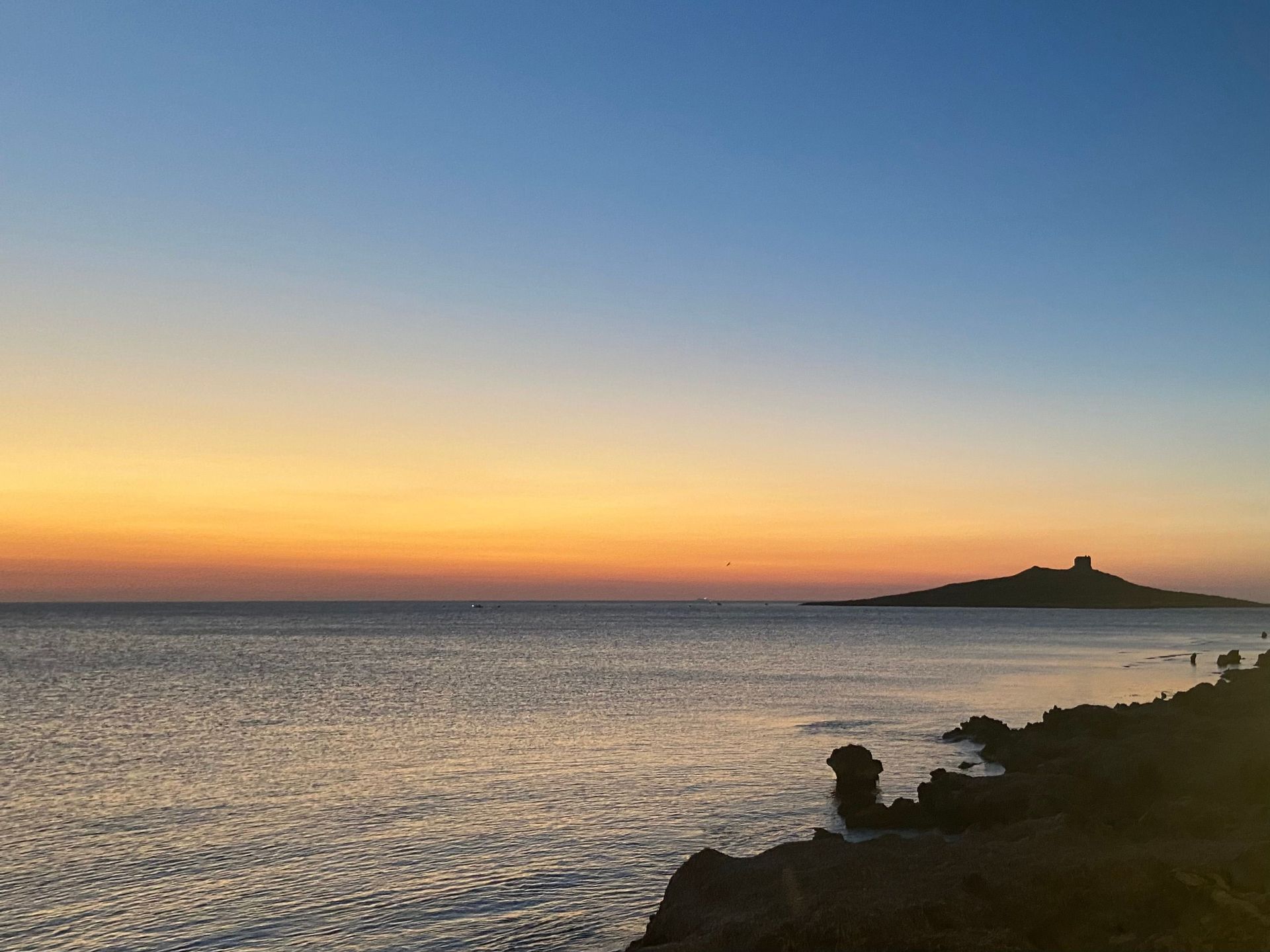 Alexandra Molina Findlay | WeRoad