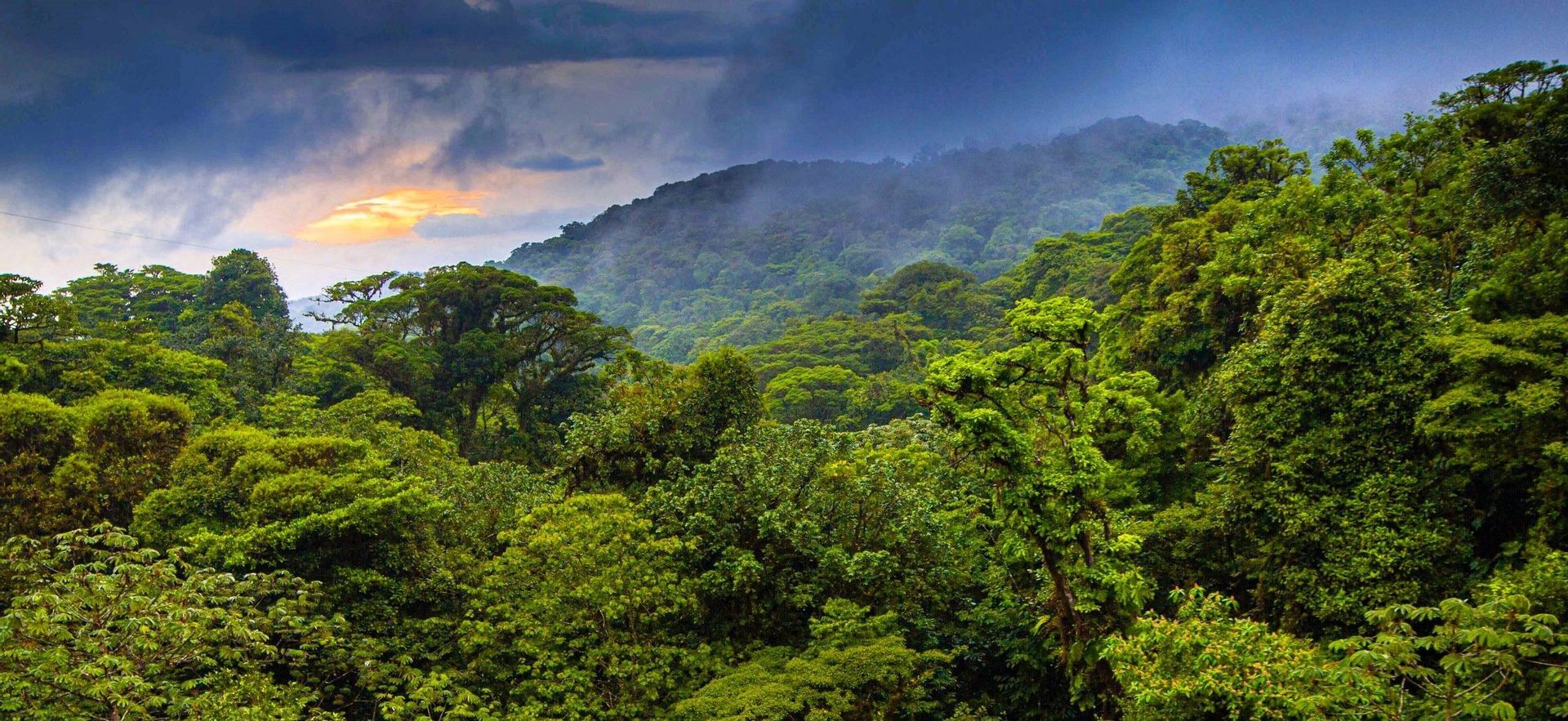 Miguel Díaz Cardiel | WeRoad