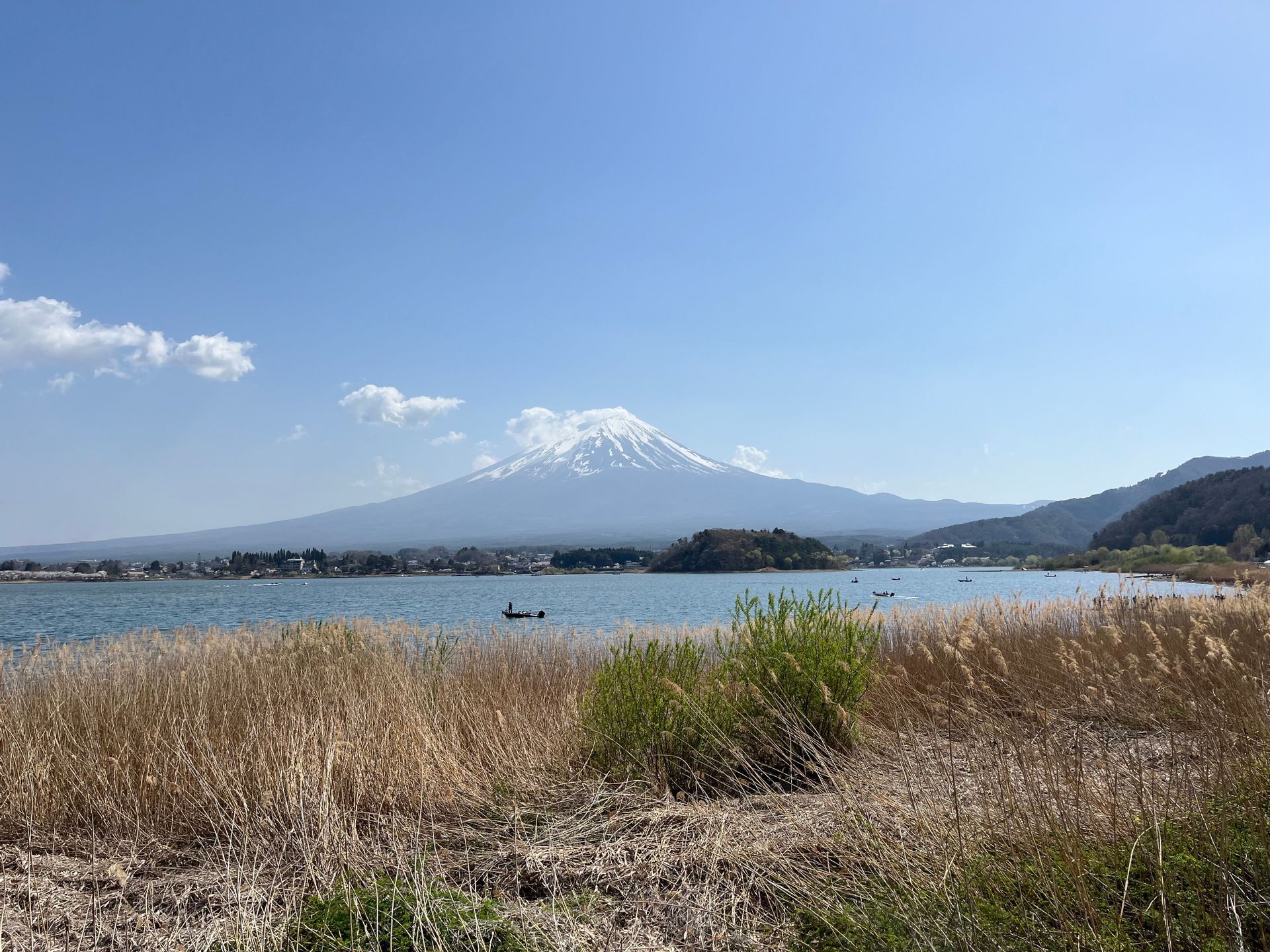 Harald Alexander Fiedler | WeRoad