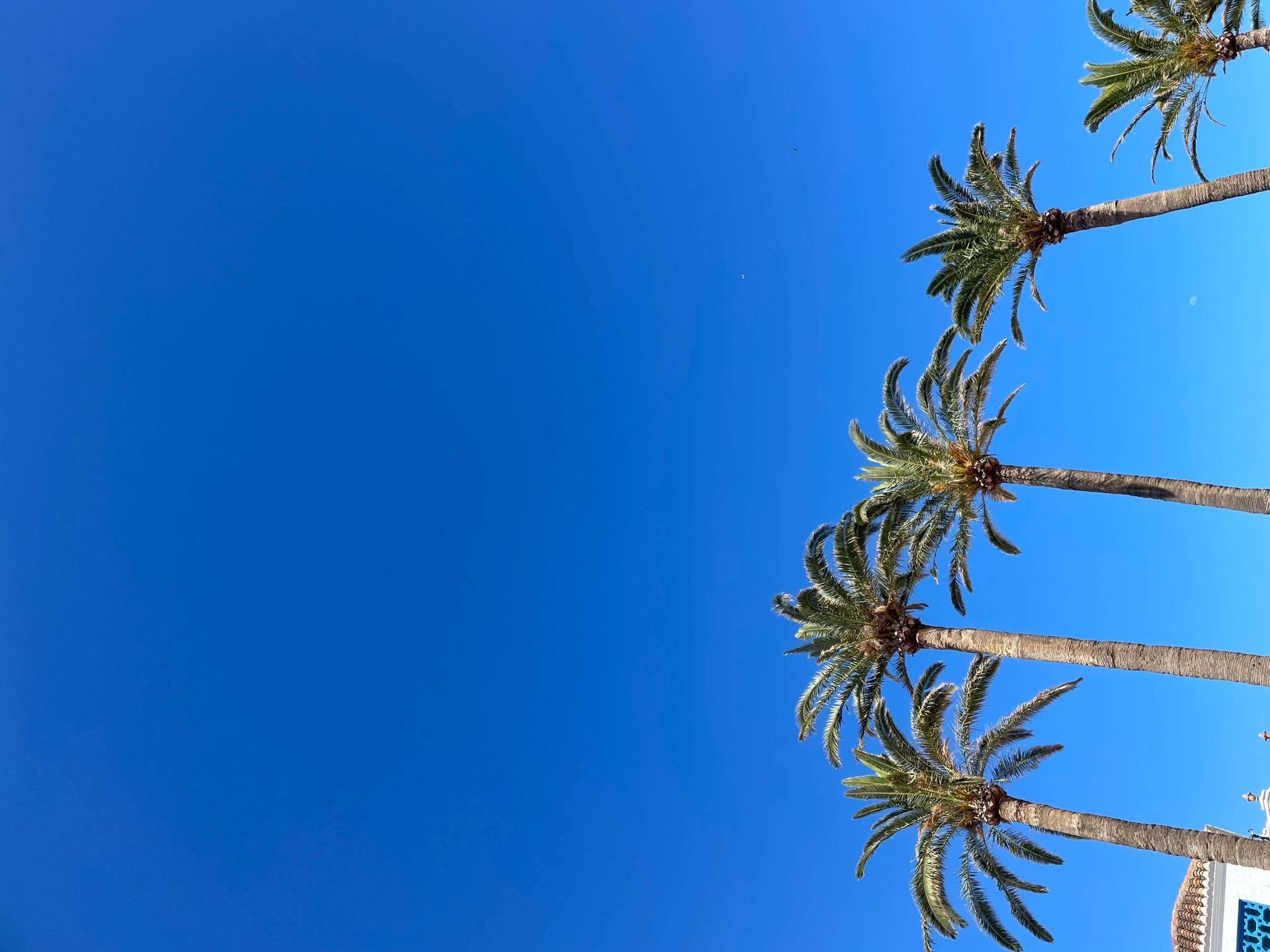 Elena González Pérez | WeRoad