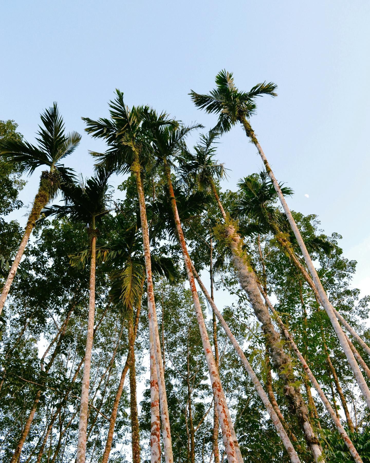 Francesca Pirola | WeRoad