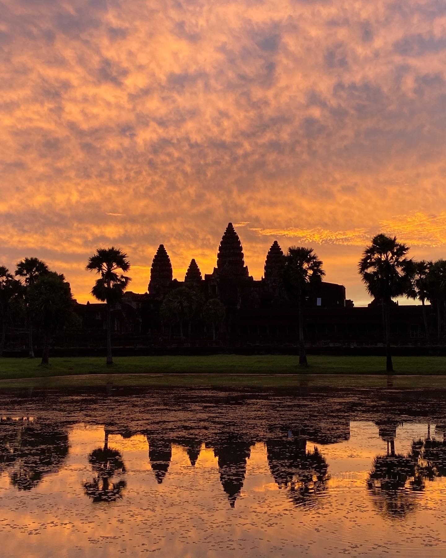 Giulia Ferraris | WeRoad