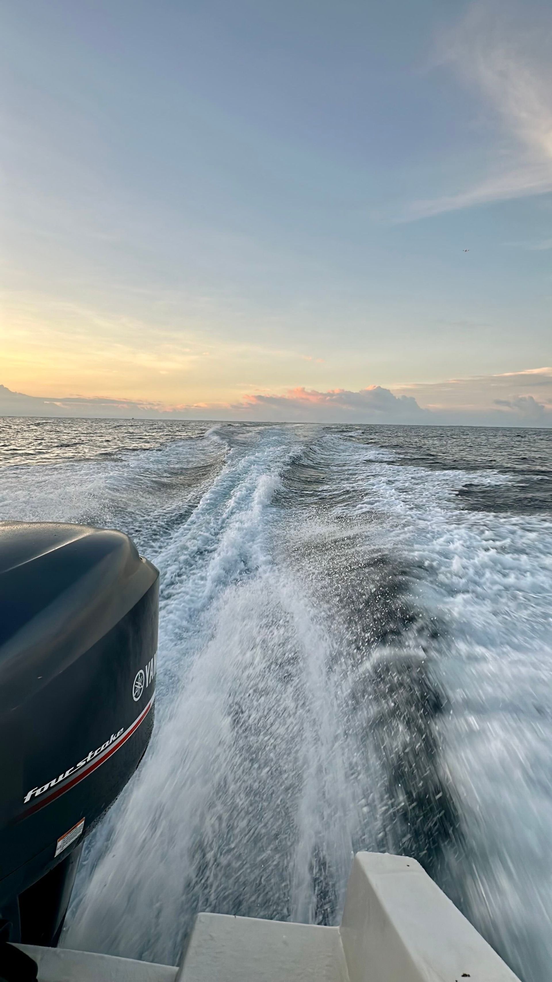 Francesca Marelli | WeRoad