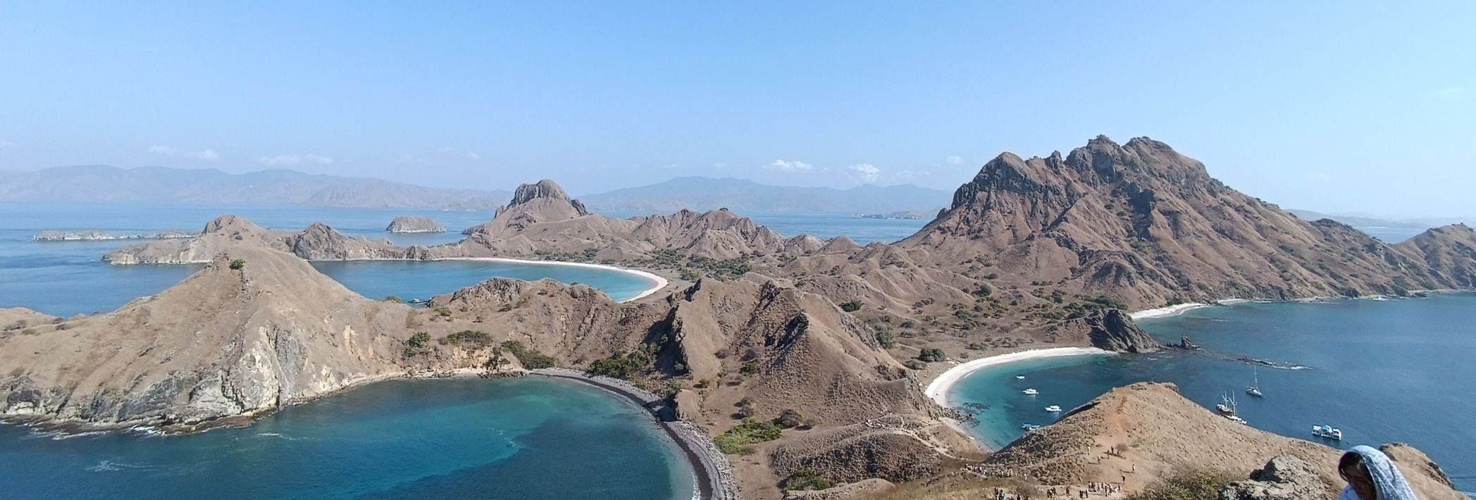 Sofia Palazzo | WeRoad