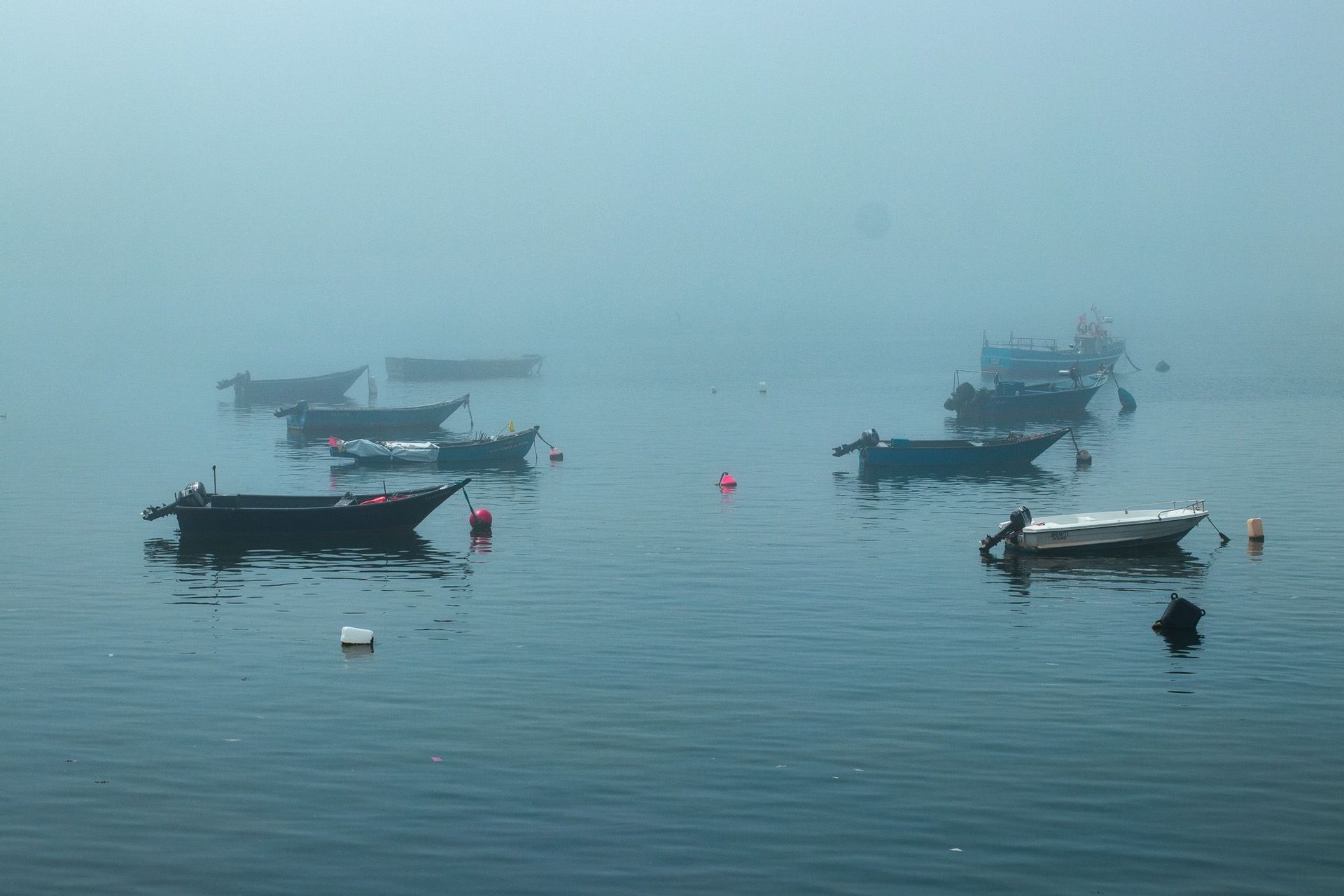 Borja Lázaro Boto | WeRoad