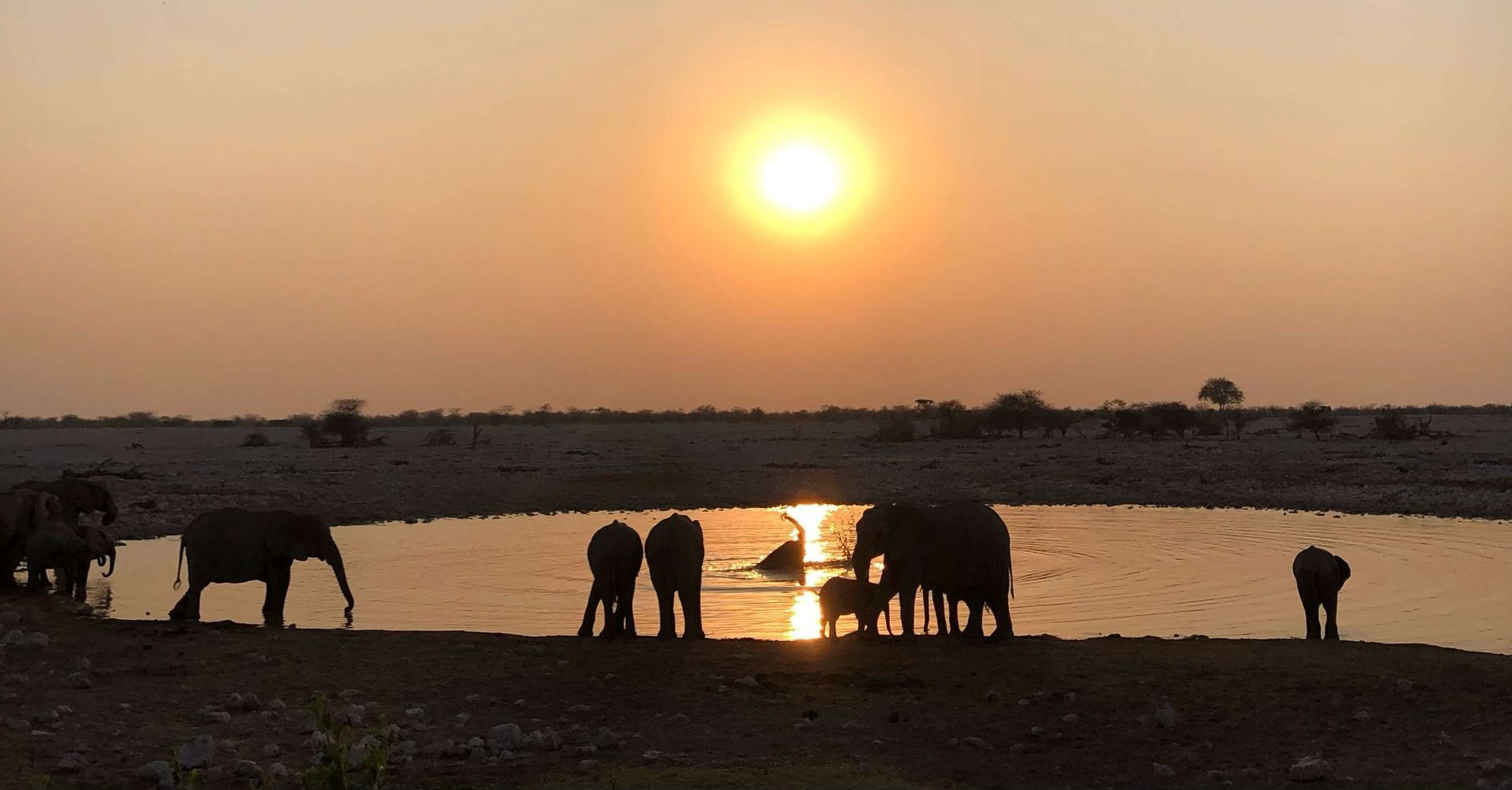 Lara Lapiniak | WeRoad