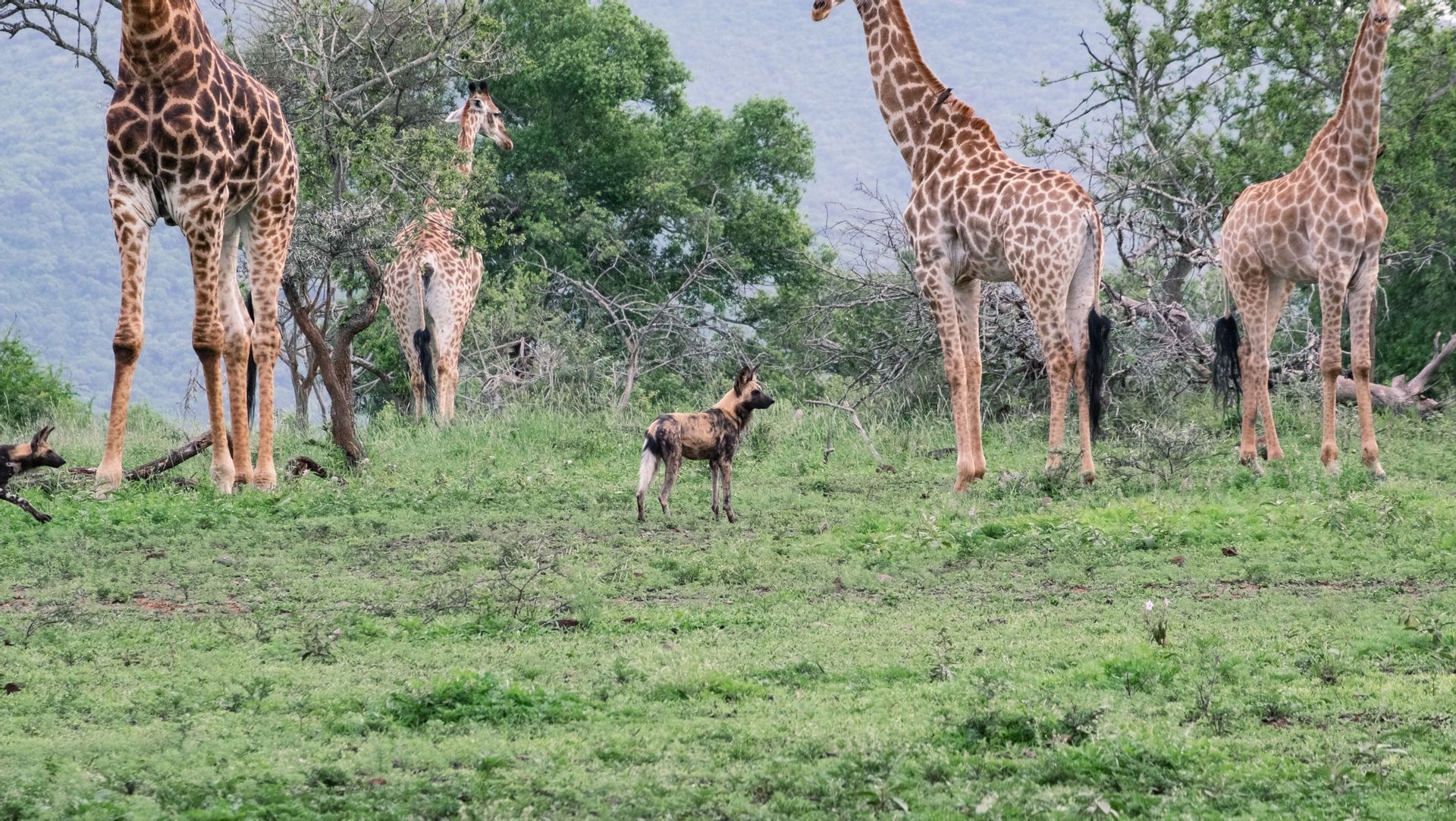 Sarah Koschinski | WeRoad