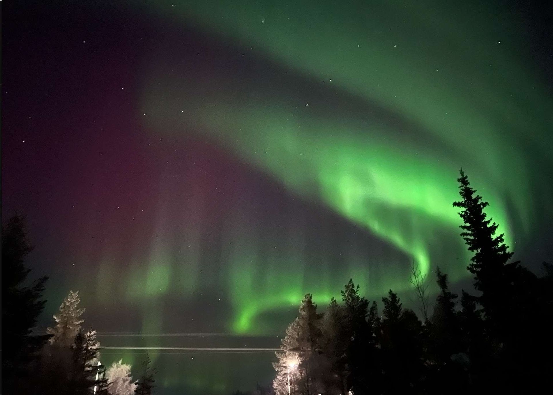 Francesca Nicolini | WeRoad