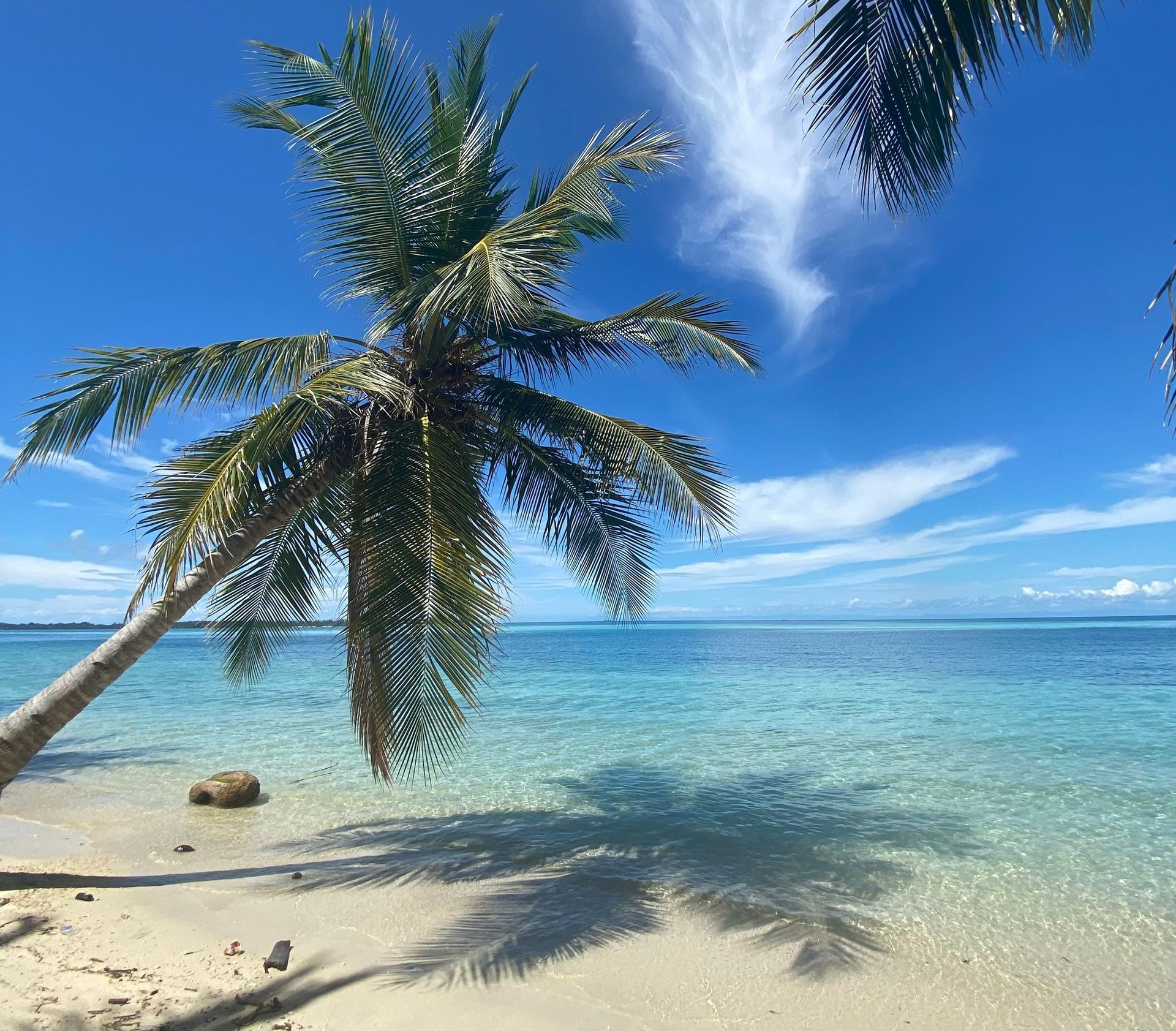 Ina Friedrichs | WeRoad