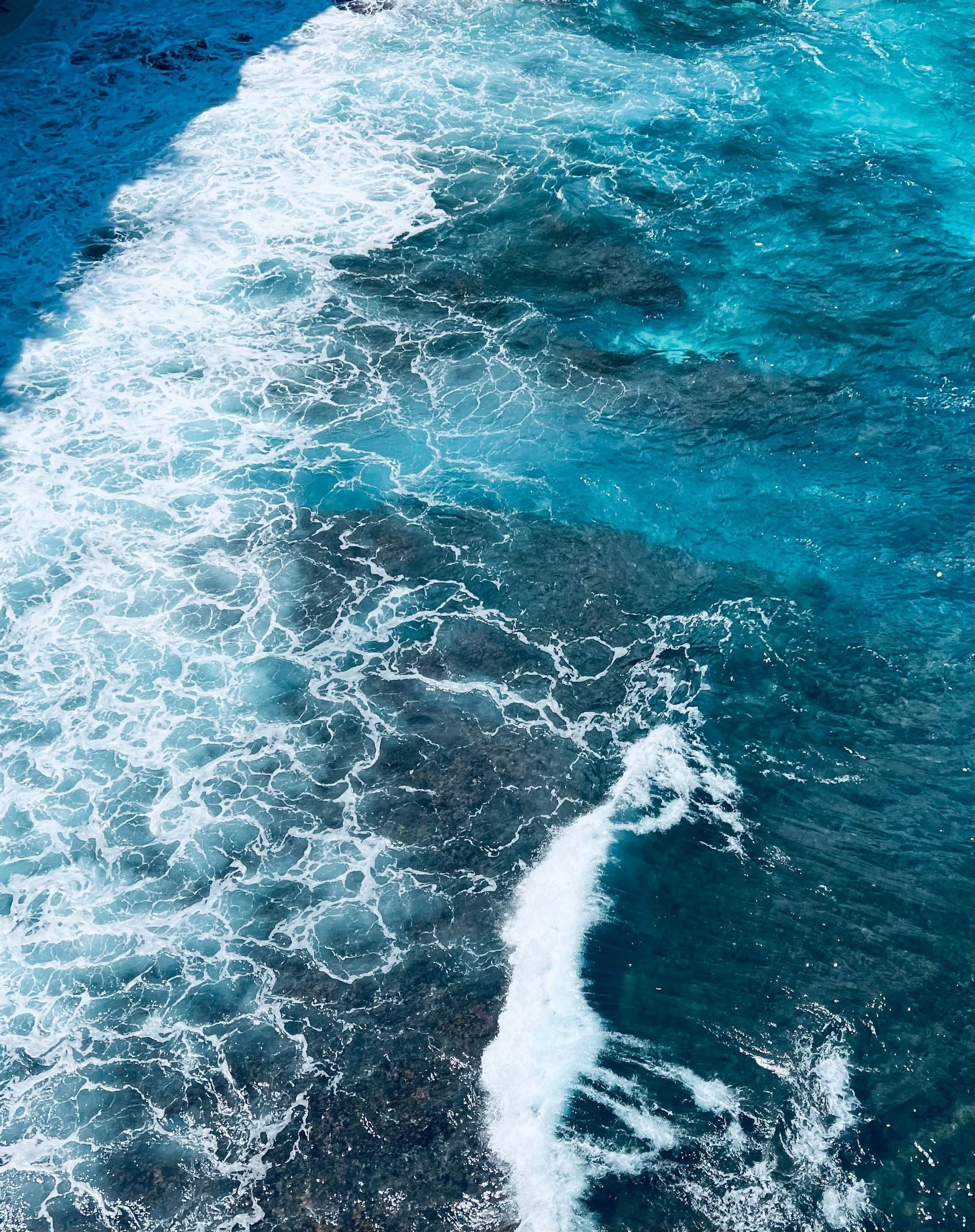 Francesca Fogli | WeRoad