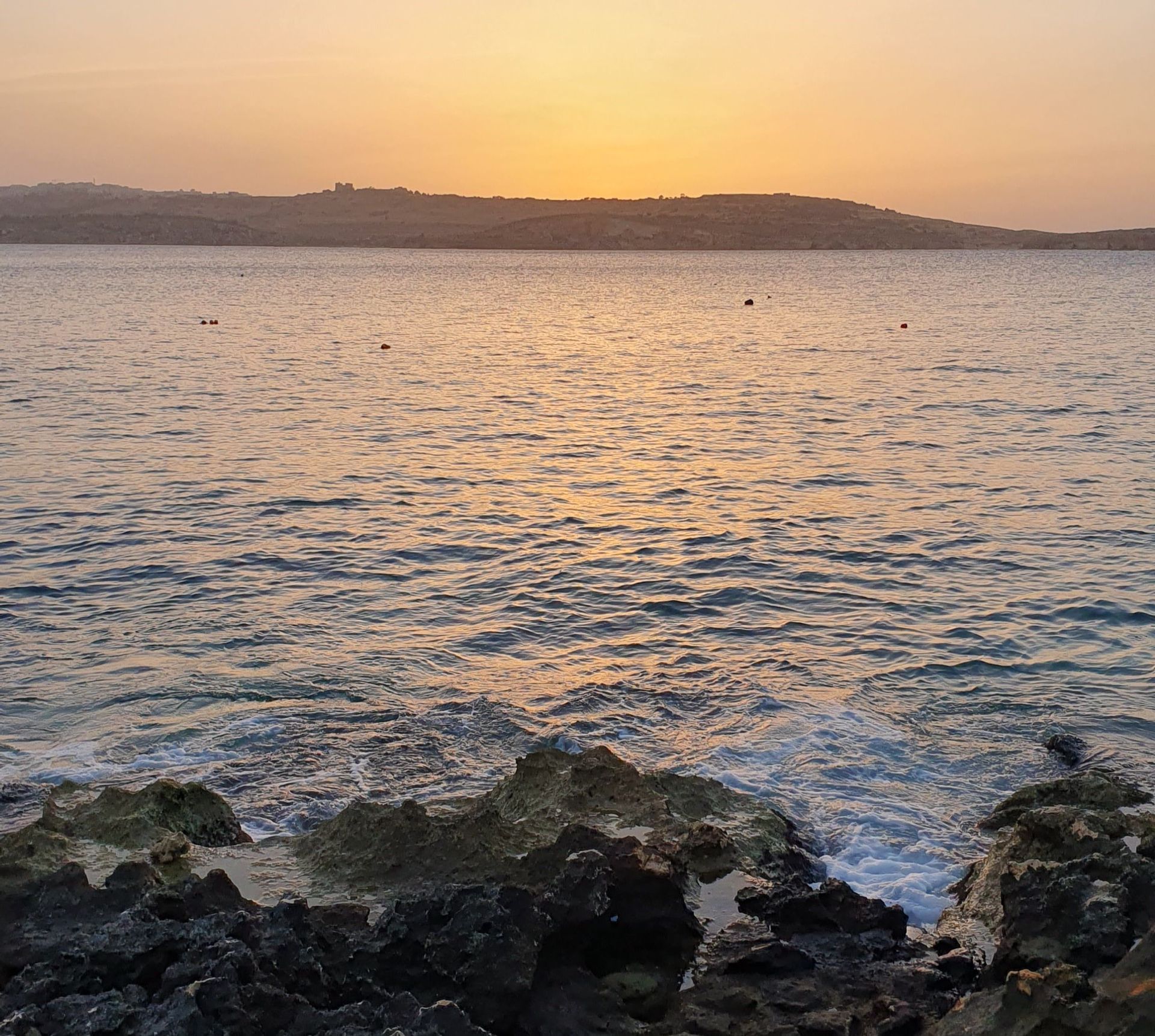 Sara Kazmierczak | WeRoad