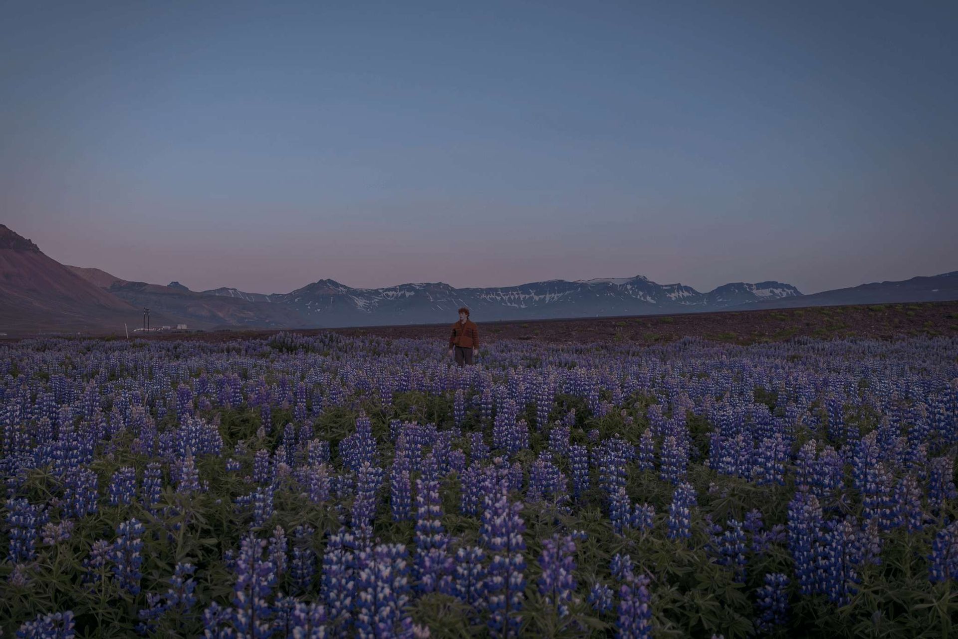 Simon Veithen | WeRoad