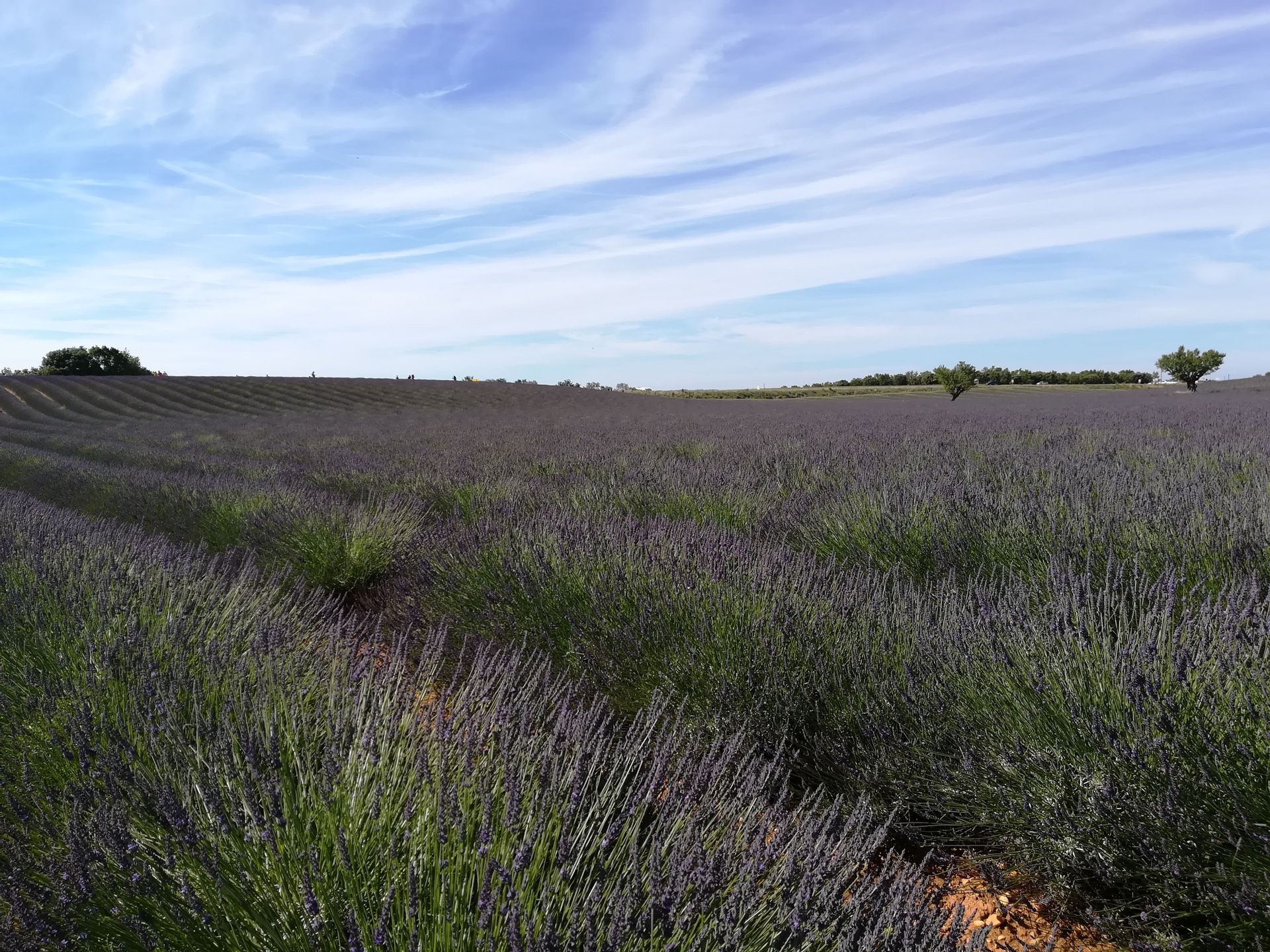 Serena Esposito | WeRoad