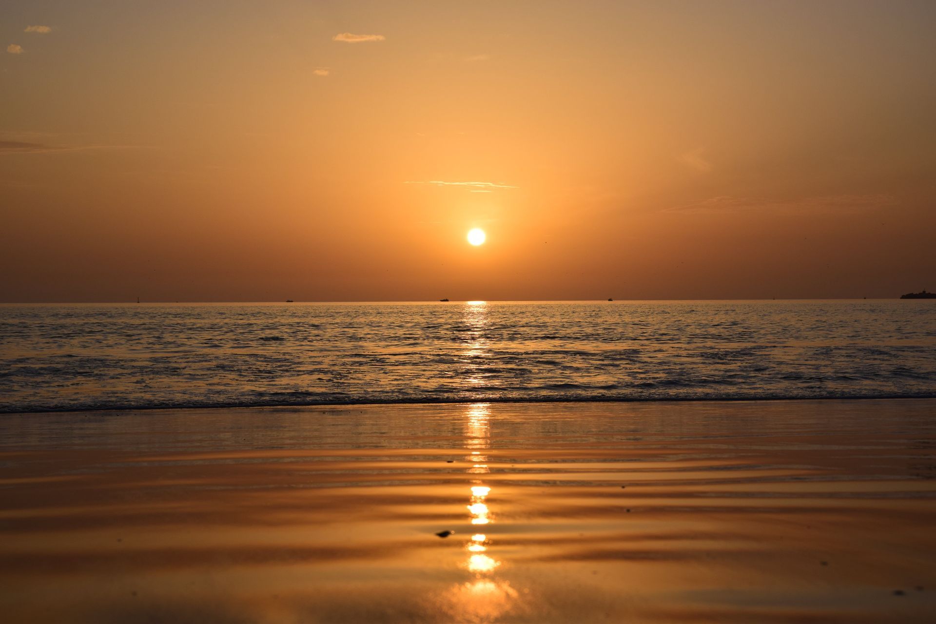 Julia Kainrath | WeRoad