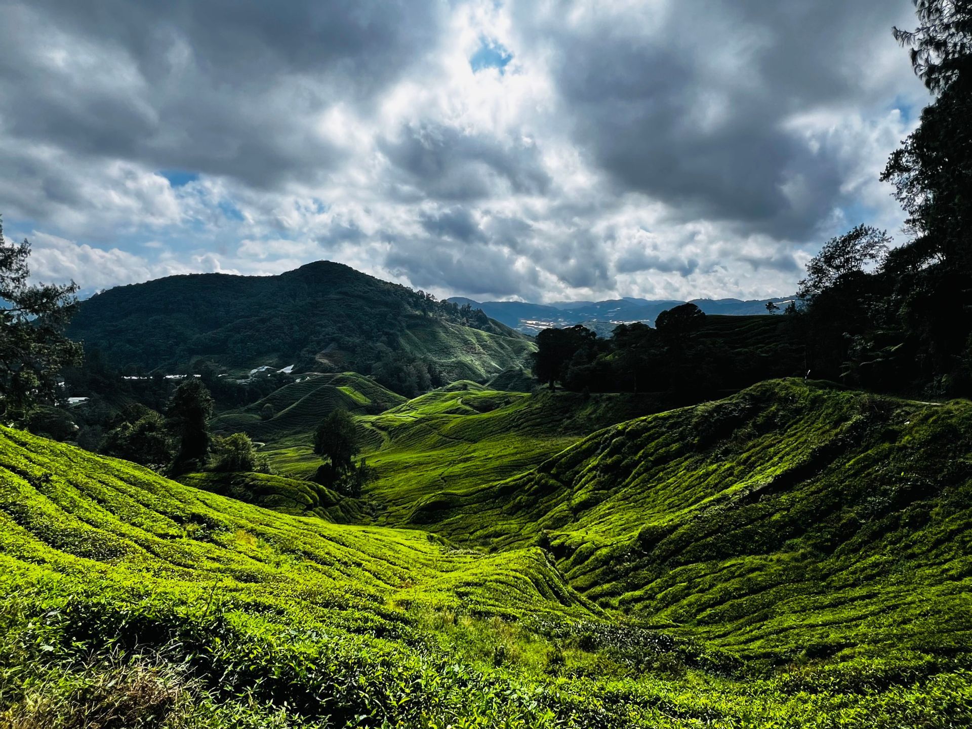 Carolina Campo Esteve | WeRoad