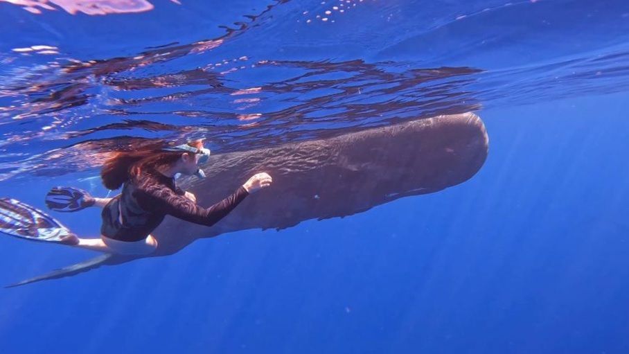 Laura Chaboche | WeRoad