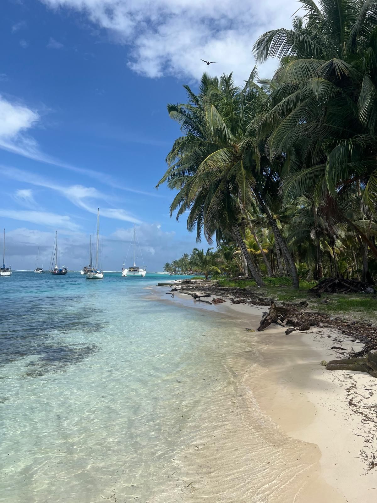 Jessica De Leeuw | WeRoad