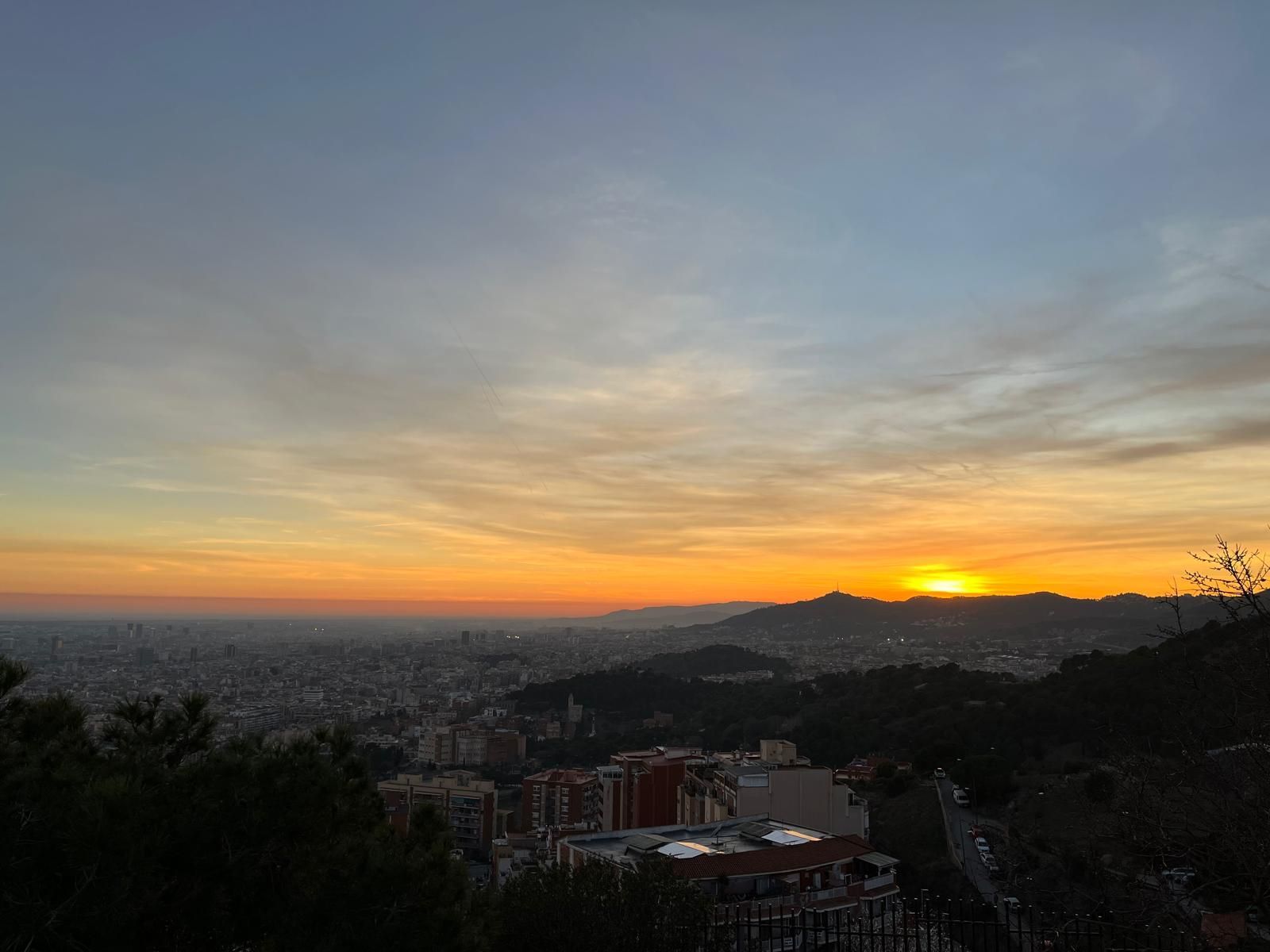 Phoebe Sarjant | WeRoad