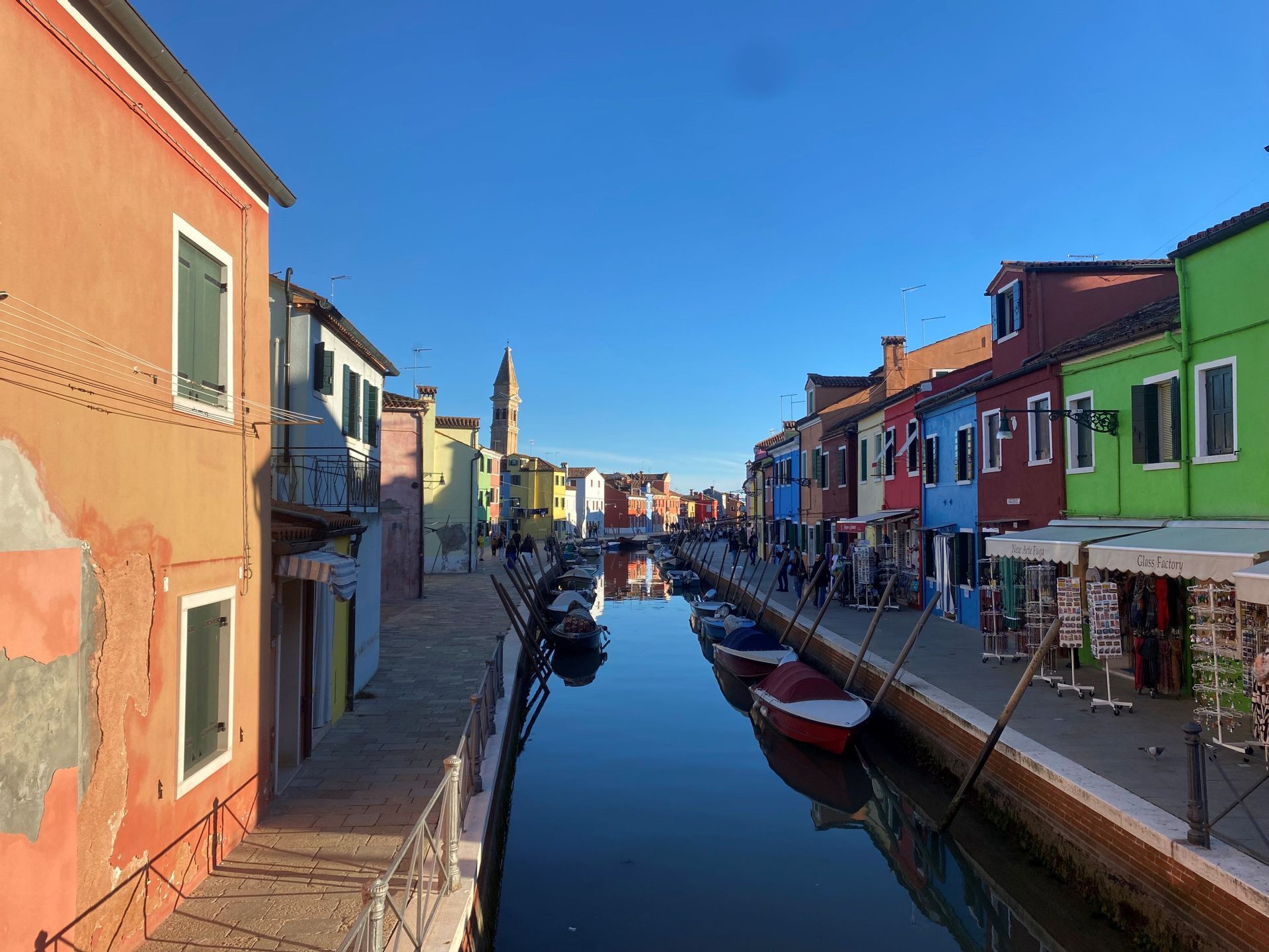 Sofia Cassisa | WeRoad