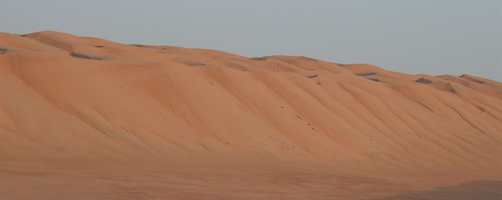 Francesca Pirola | WeRoad