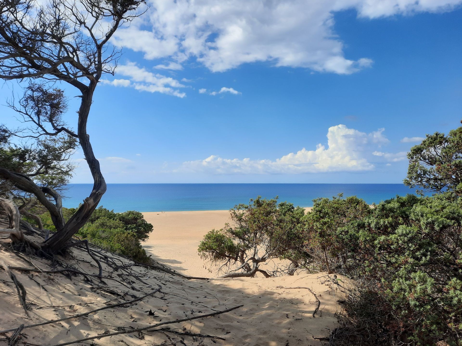 Mara Pusceddu | WeRoad