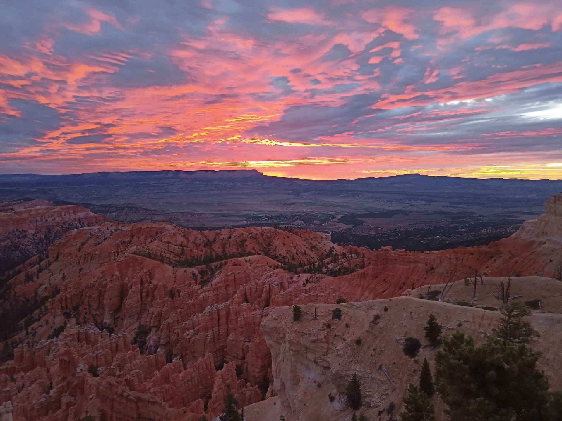 Laura D'Ottavio | WeRoad