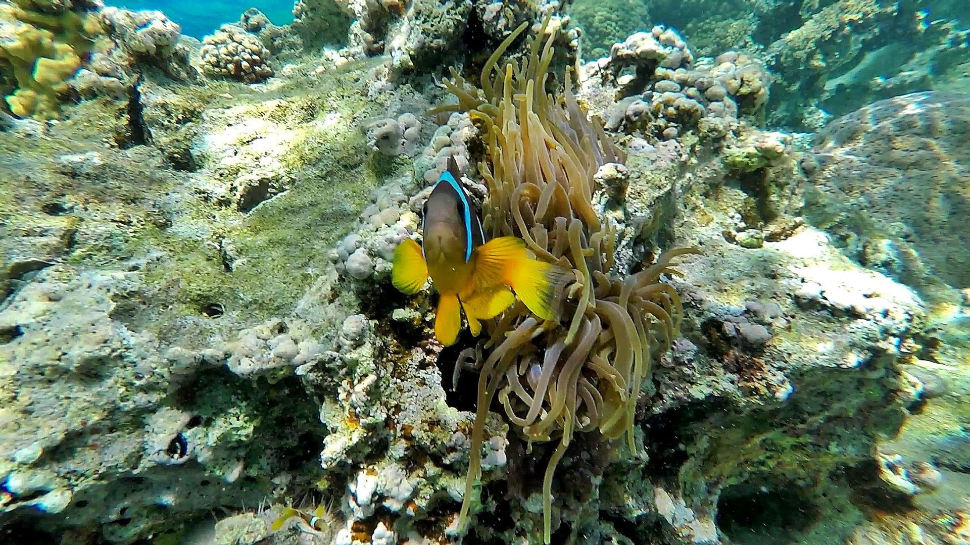 Giulia Saronio | WeRoad