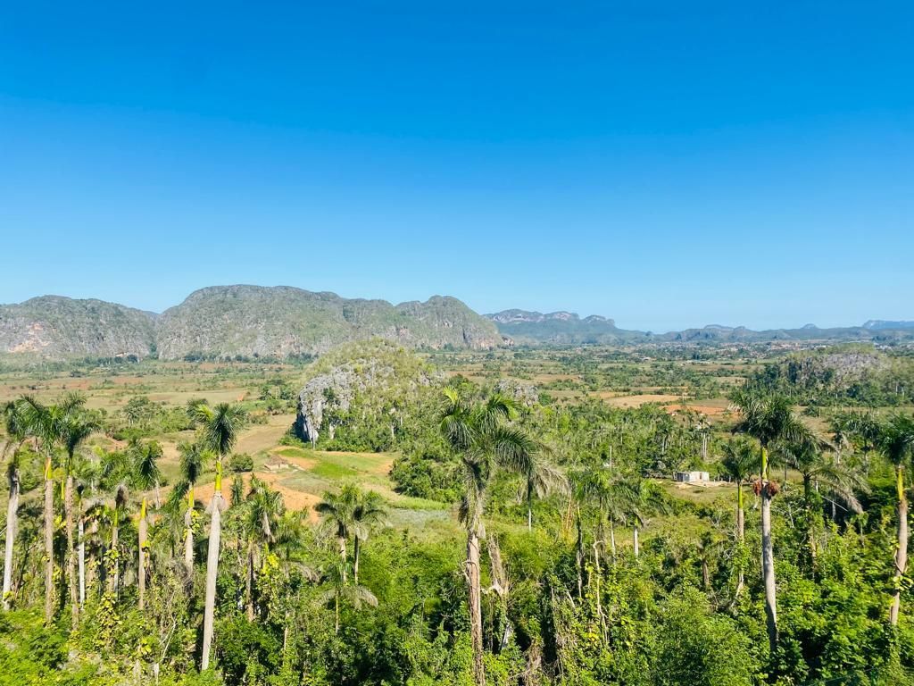 Giulia Menegoni | WeRoad