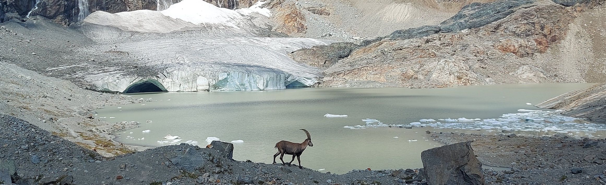 Andrea Brumana | WeRoad