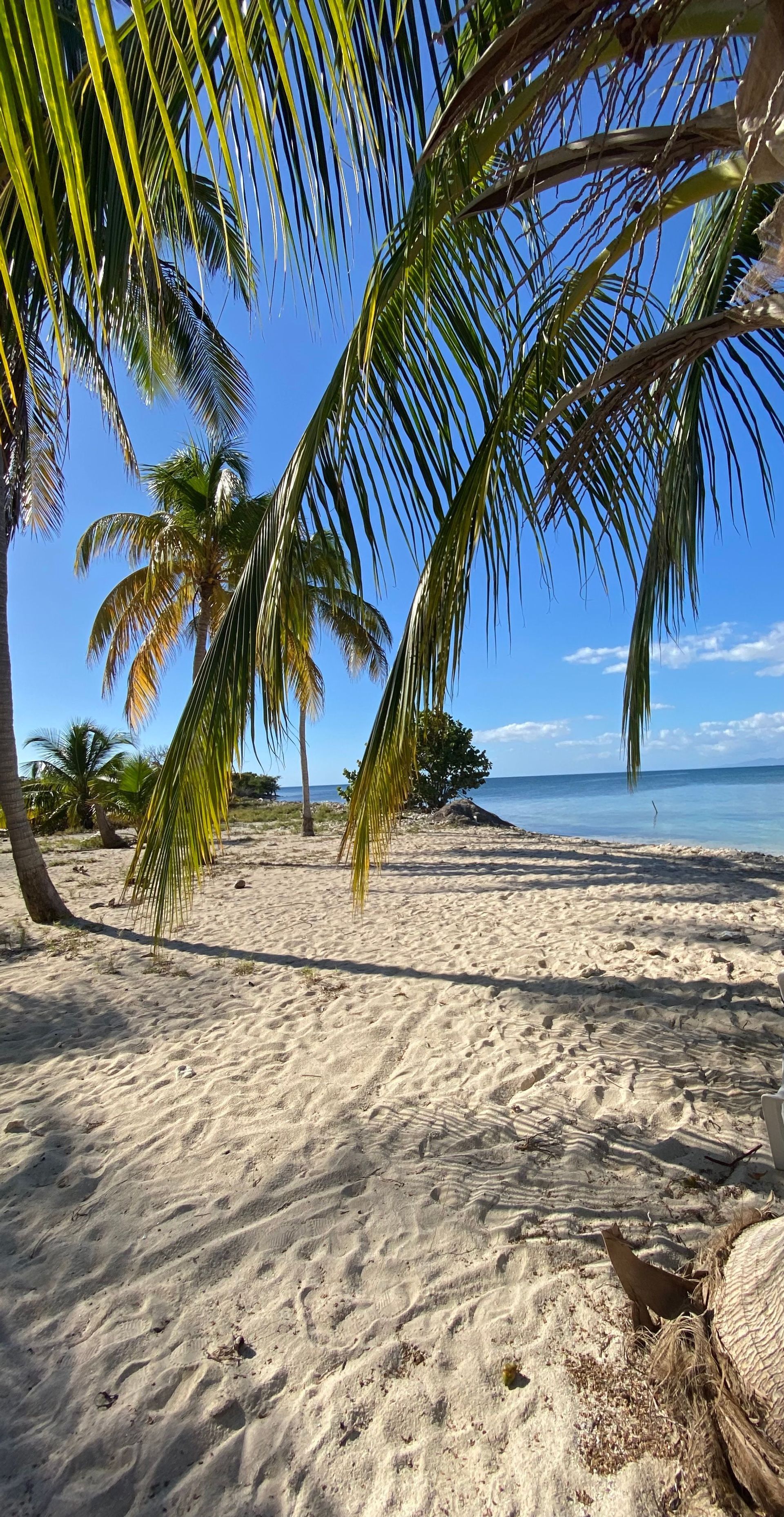 Maria Belotti | WeRoad