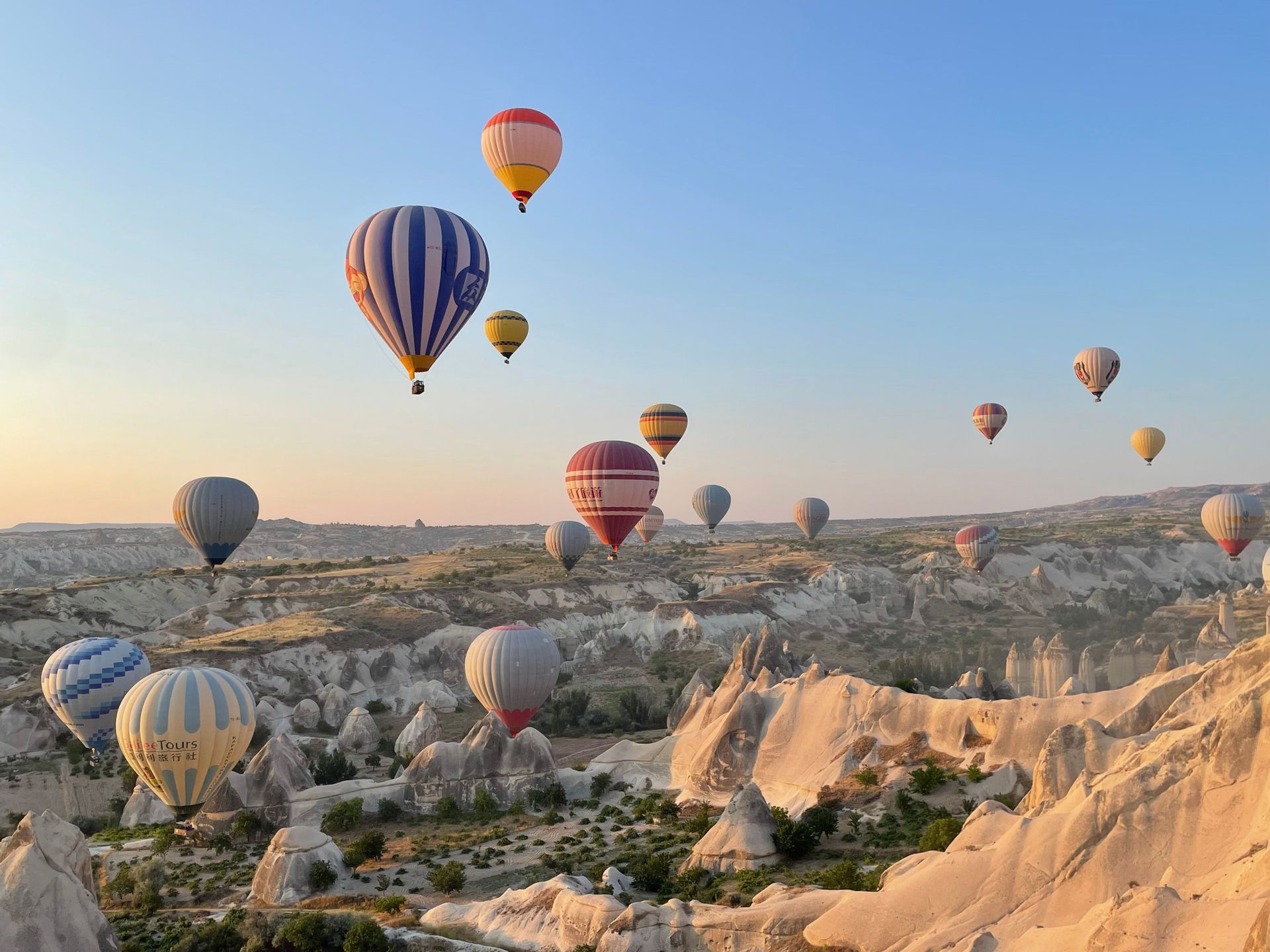 Michela D'Agata | WeRoad