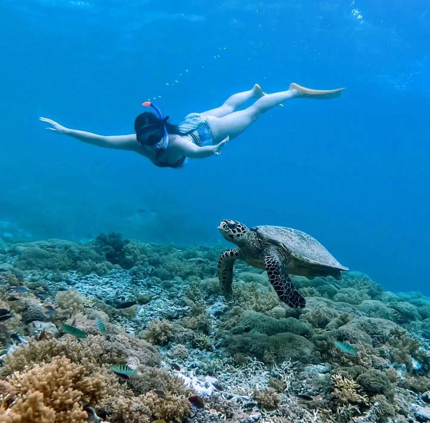 Dominique Szarka | WeRoad