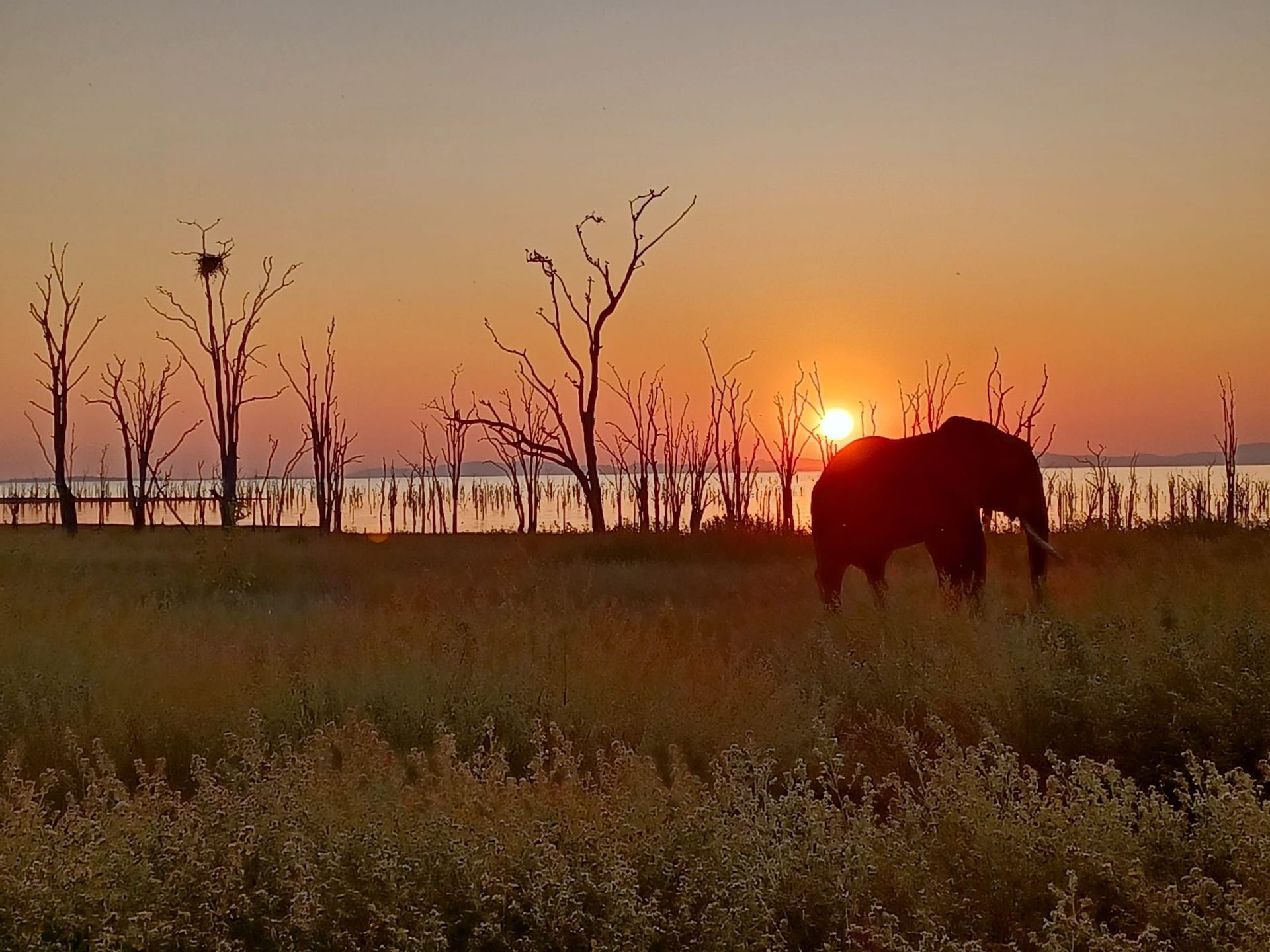 Jason Andreas Michael Phillipe Tetlow | WeRoad