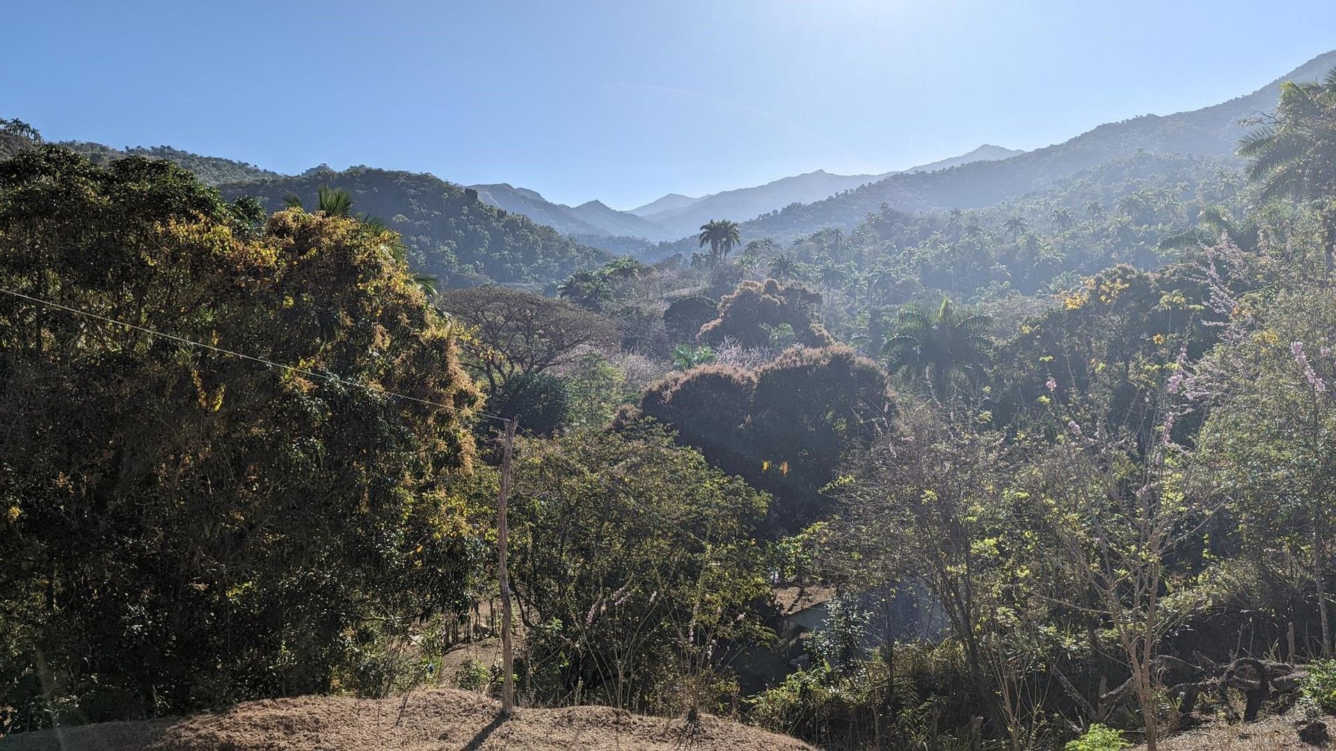 Elena Scalabrini | WeRoad