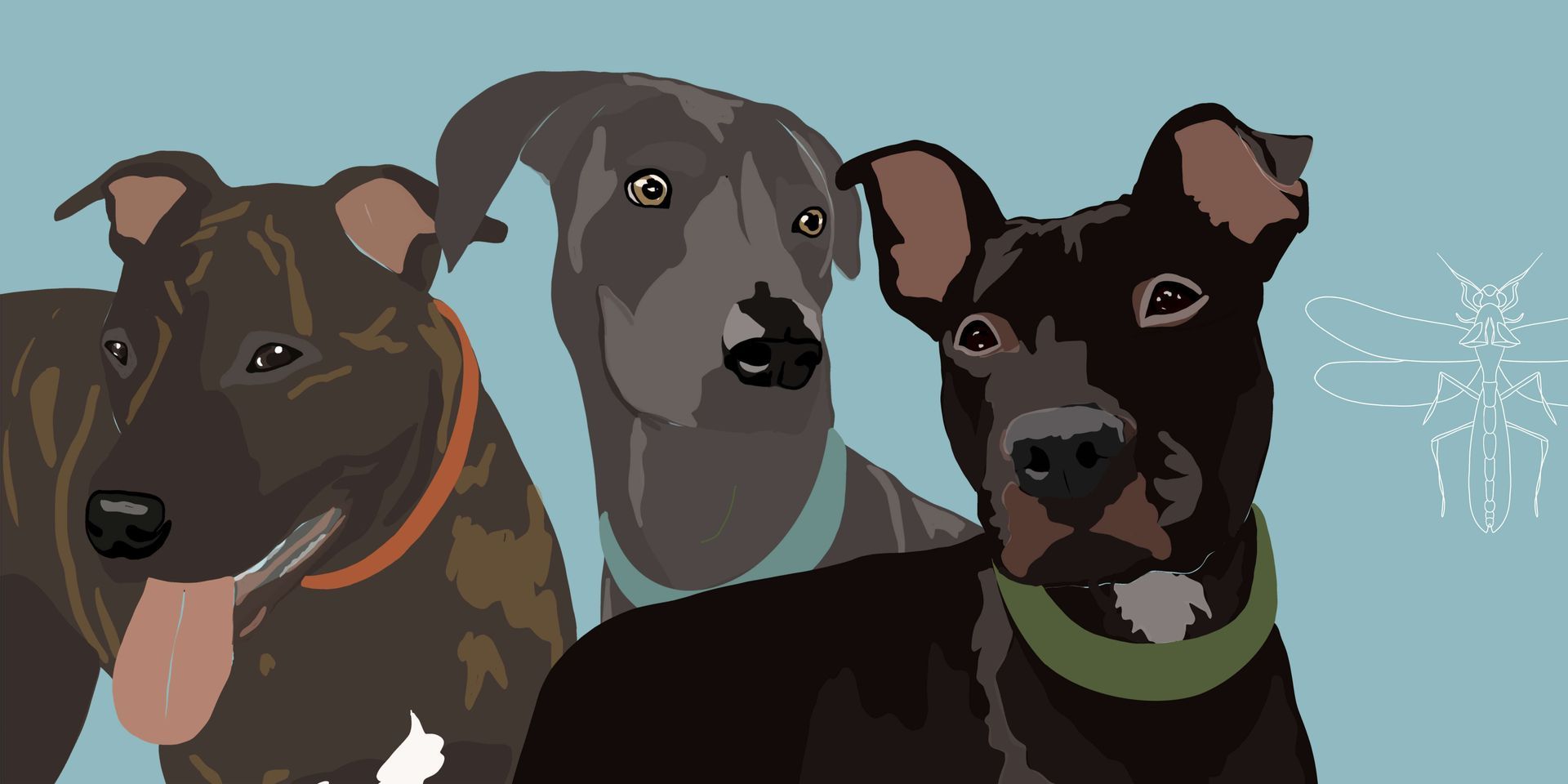 Valentina Sella | WeRoad