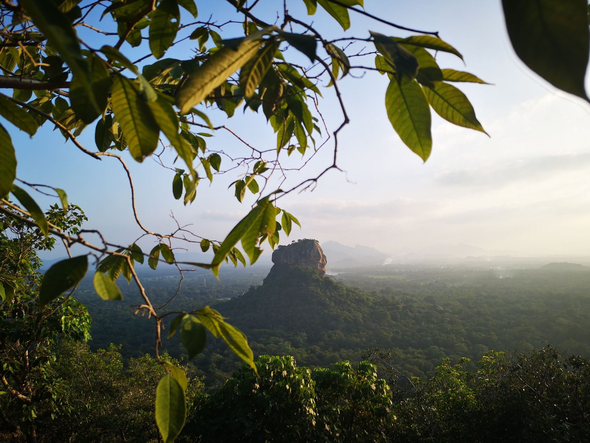 Giulia Picchiami | WeRoad