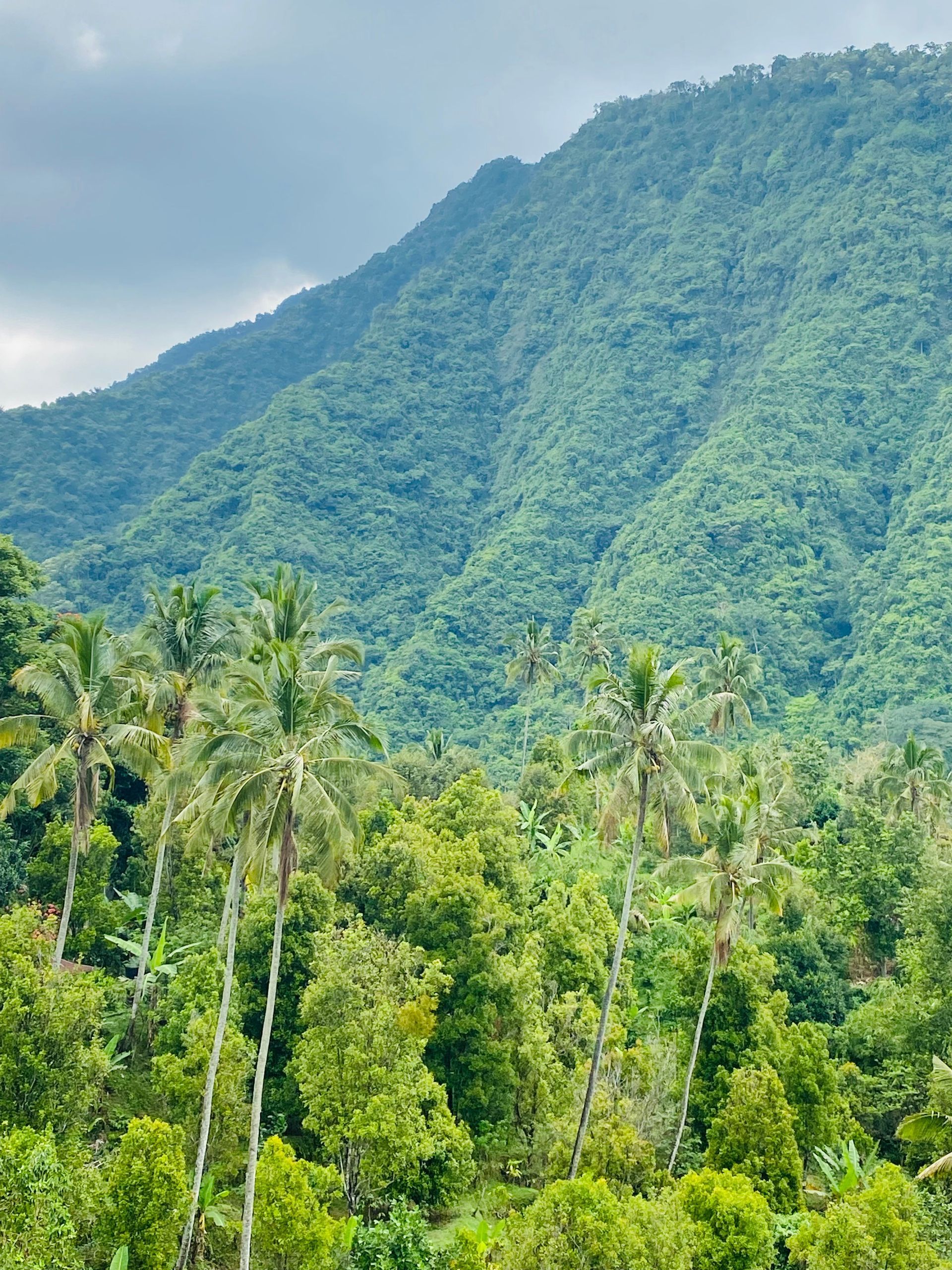 Giulia Sorgato | WeRoad