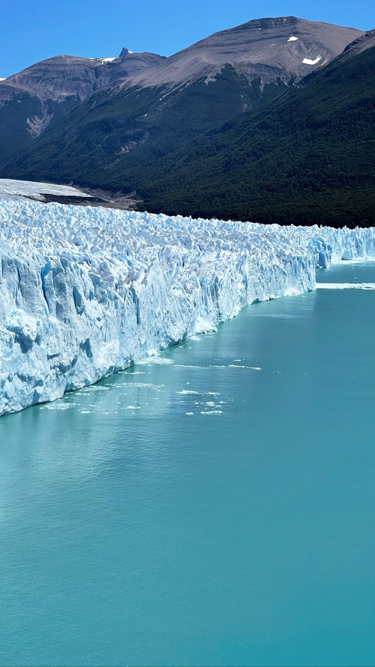 Alessandro Saletti | WeRoad