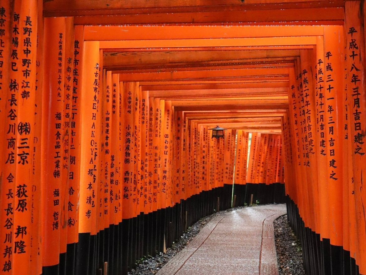 Alessandra De Ponti | WeRoad