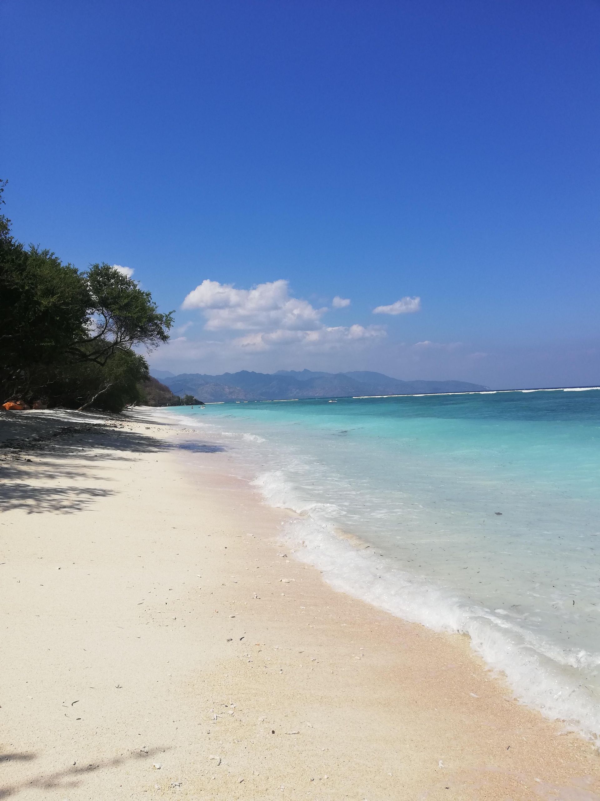 Alessia Dominici | WeRoad