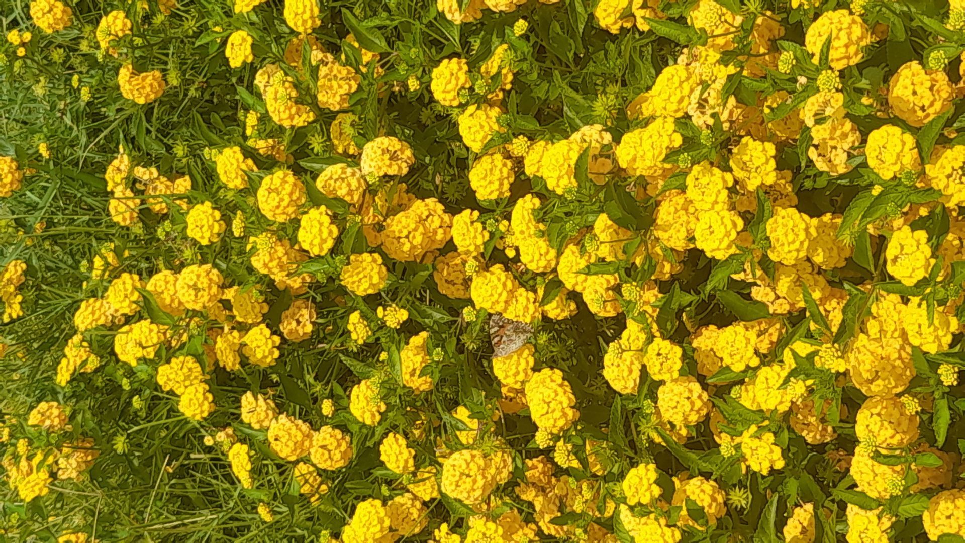 Giada Fiore | WeRoad