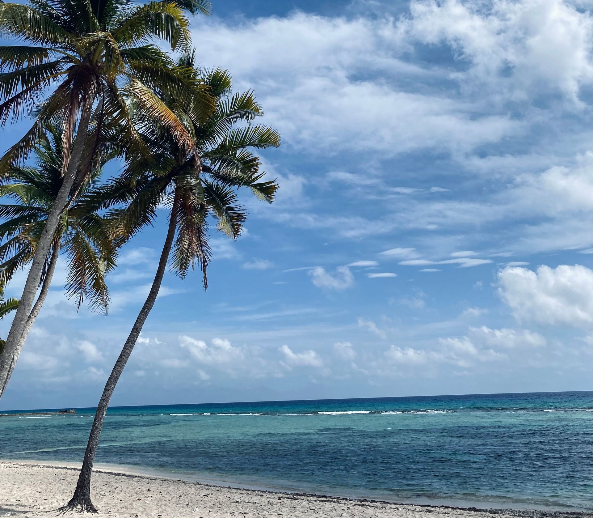 Ina Friedrichs | WeRoad