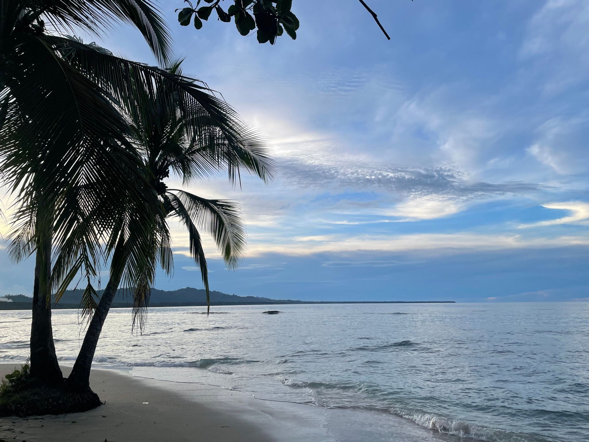 Svenja Ehmer | WeRoad